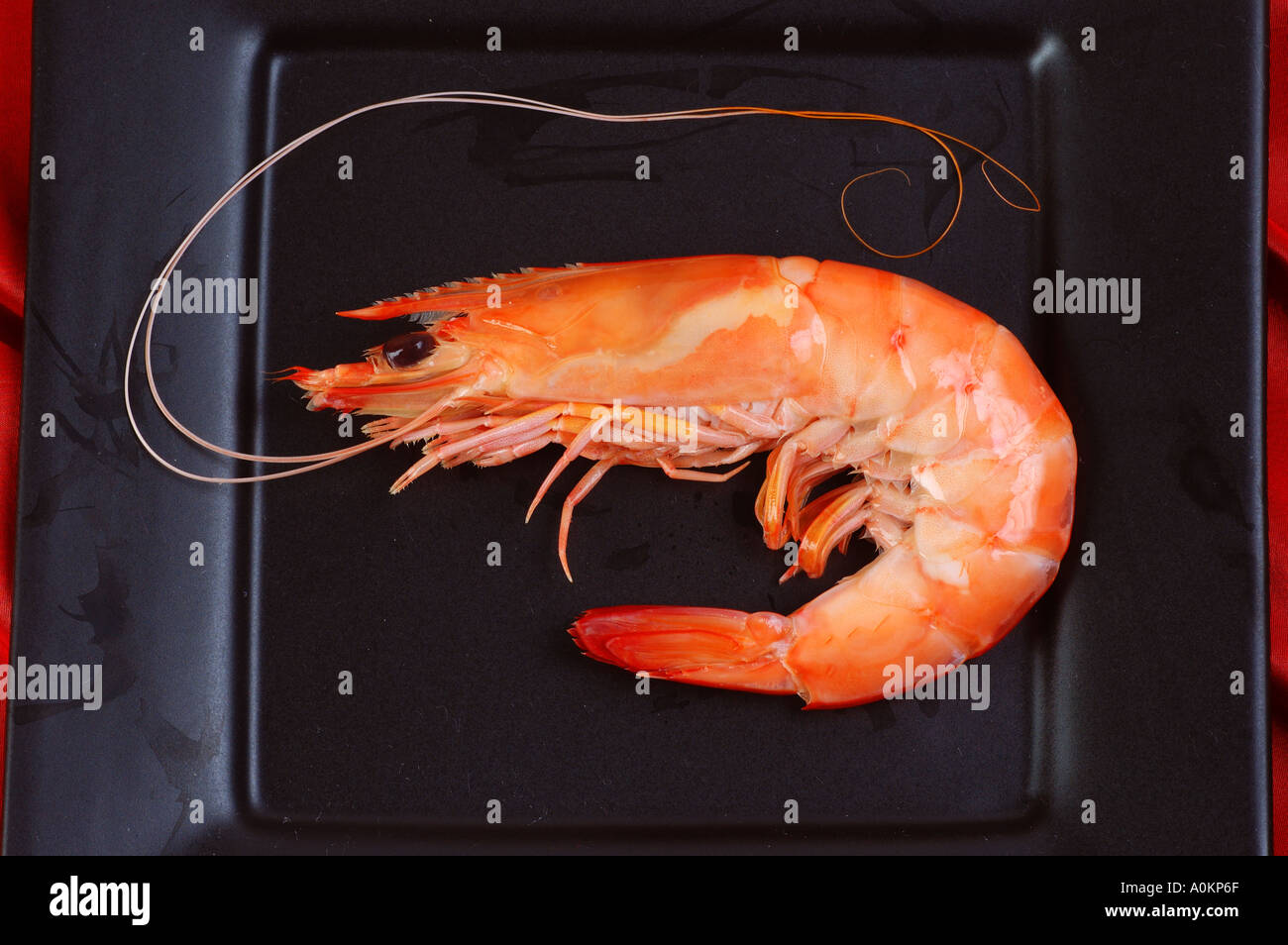 still life with Queensland banana prawn Australia dsc 9931 Stock Photo ...