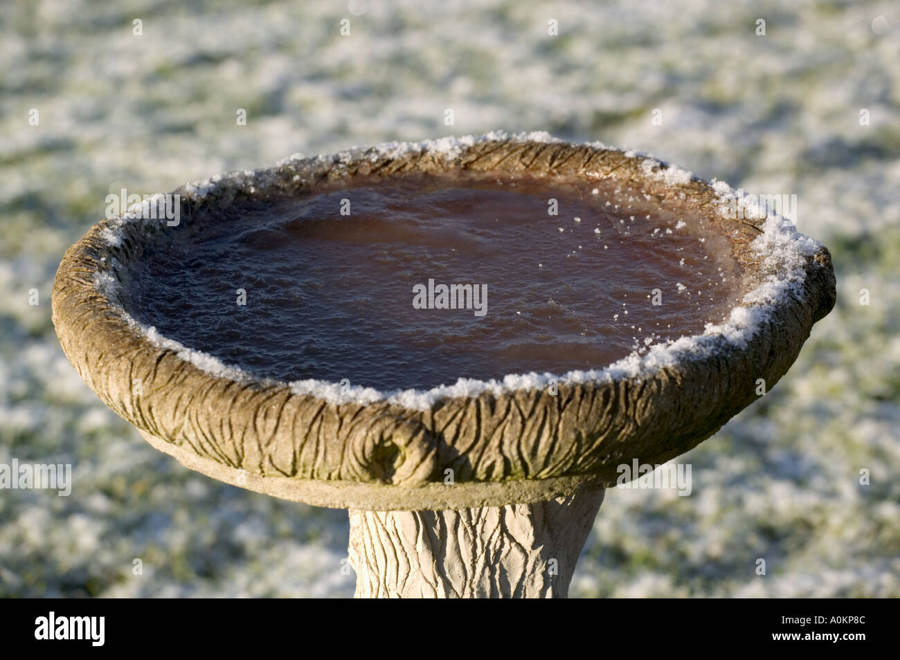 Ice bath in nature hi-res stock photography and images - Alamy