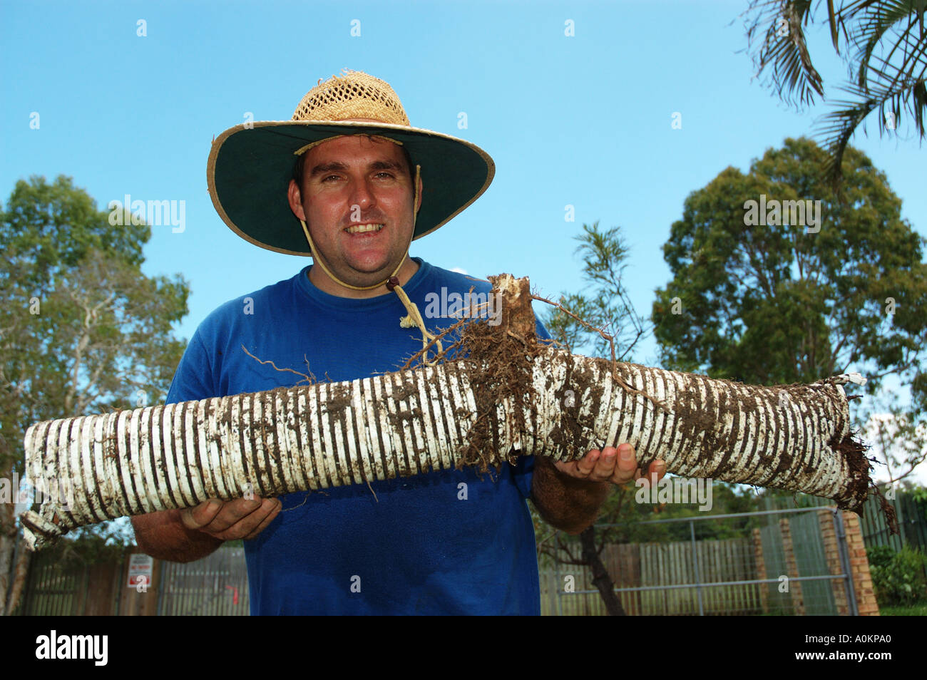 Solution to flooding problem hi-res stock photography and images - Alamy