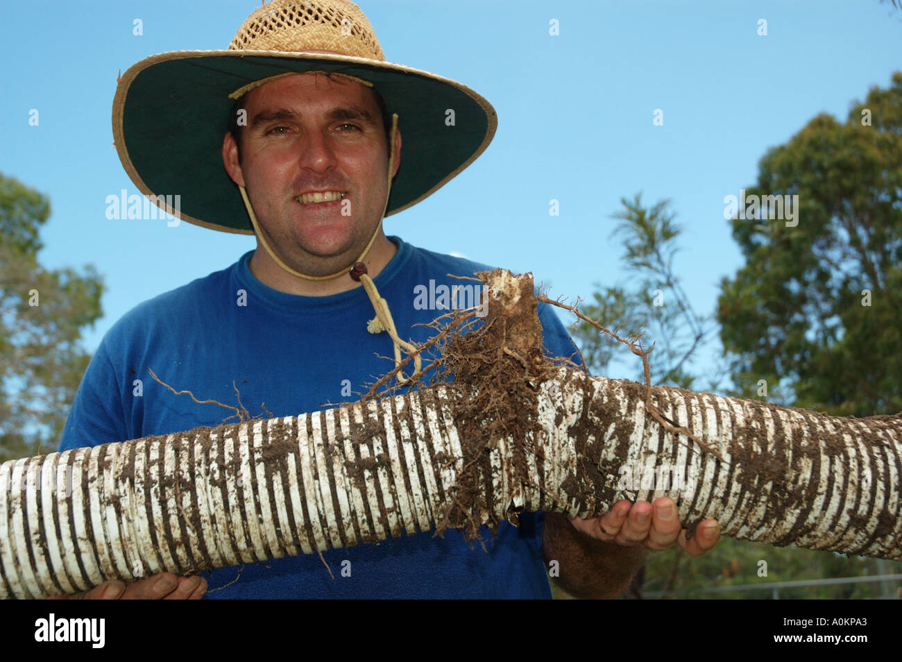 Solution to flooding problem hi-res stock photography and images - Alamy