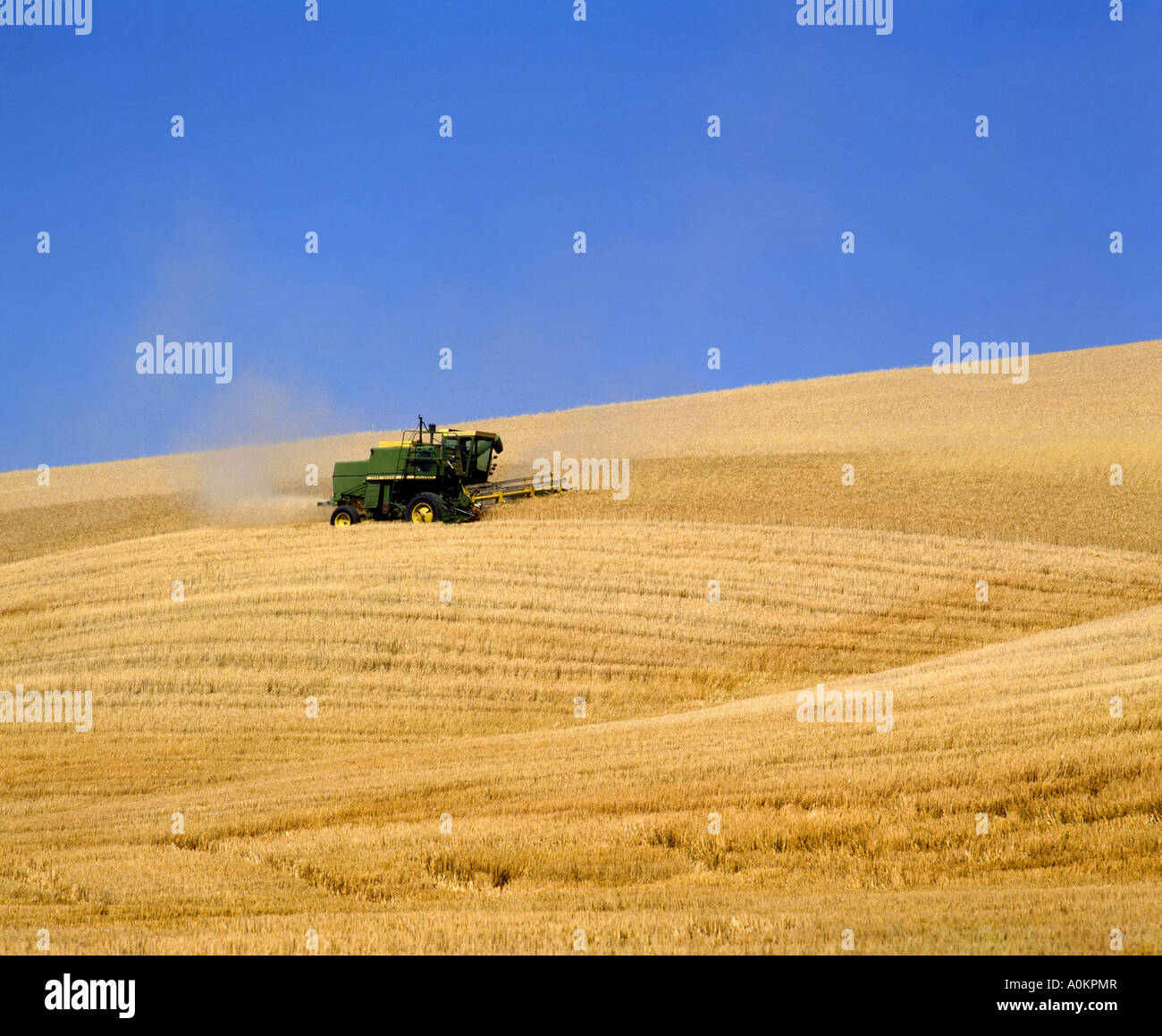 Combining crops hi-res stock photography and images - Alamy
