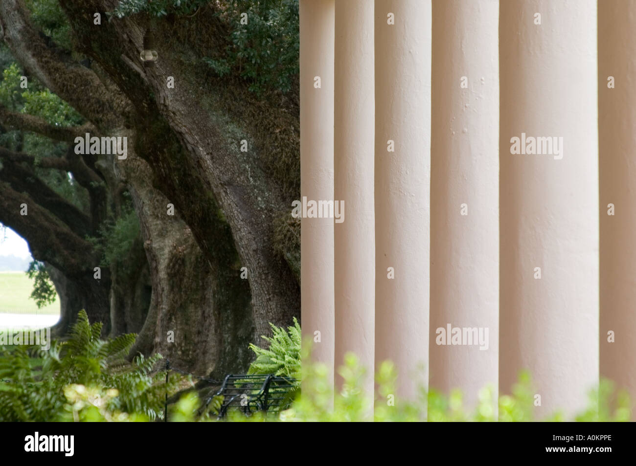 Tourists visiting a plantation hi-res stock photography and images - Alamy