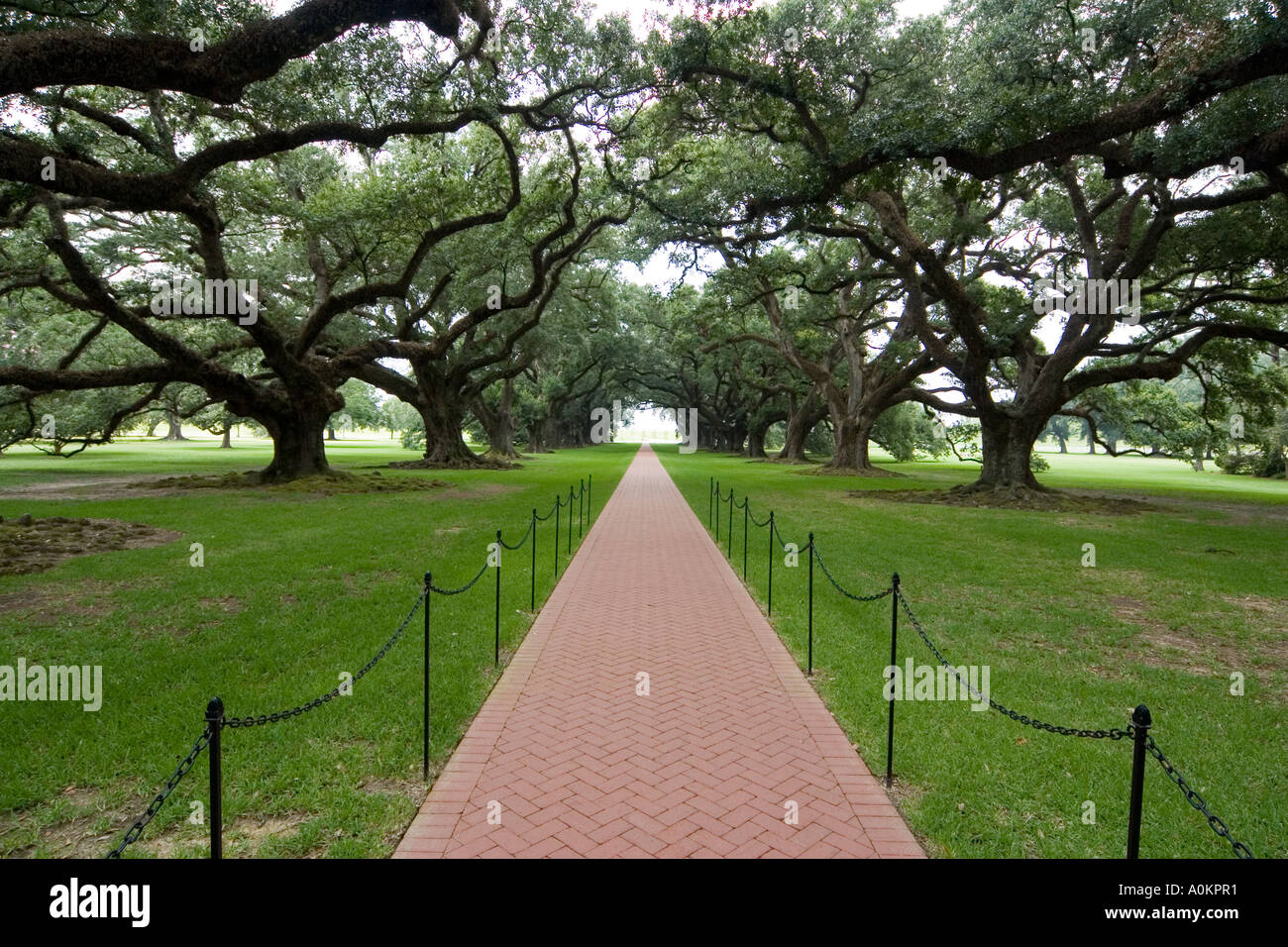 Oak alley plantation antebellum mansion hi-res stock photography and ...