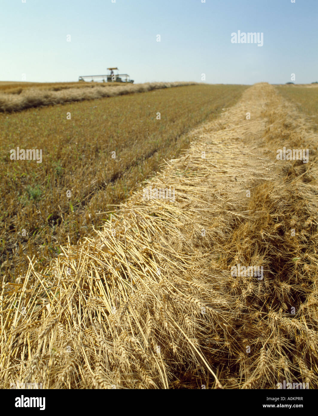 Swathing hi-res stock photography and images - Alamy
