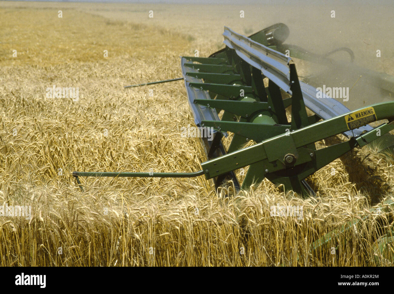 WHEAT HARVEST COLORADO Stock Photo - Alamy