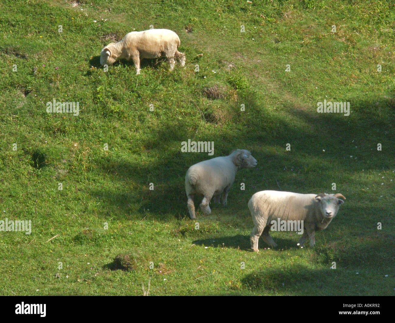 Iownt nature reserve hi-res stock photography and images - Alamy