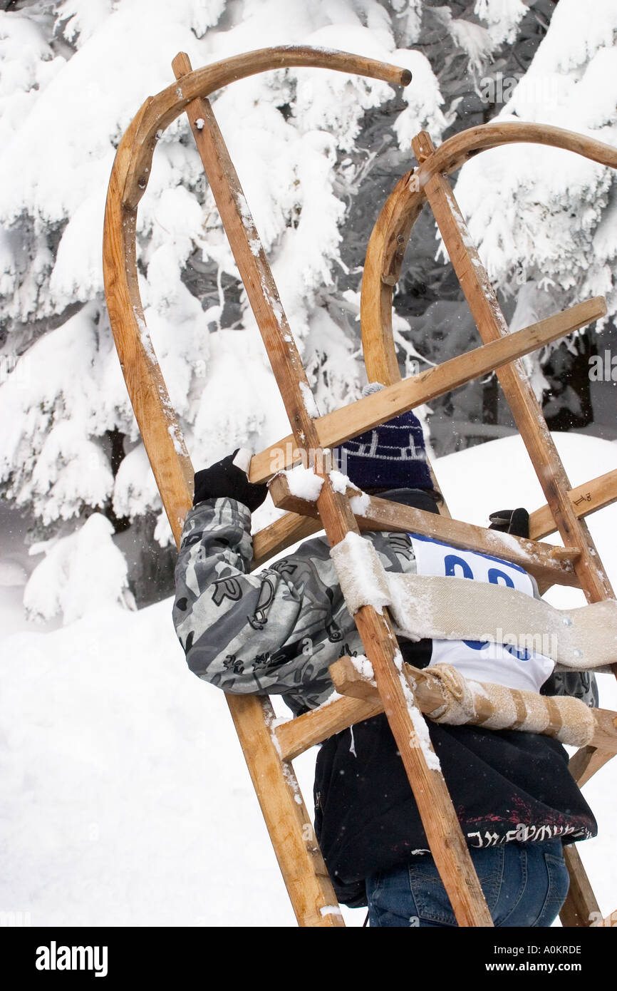 Traditional sledge race Black Forest Germany Stock Photo - Alamy