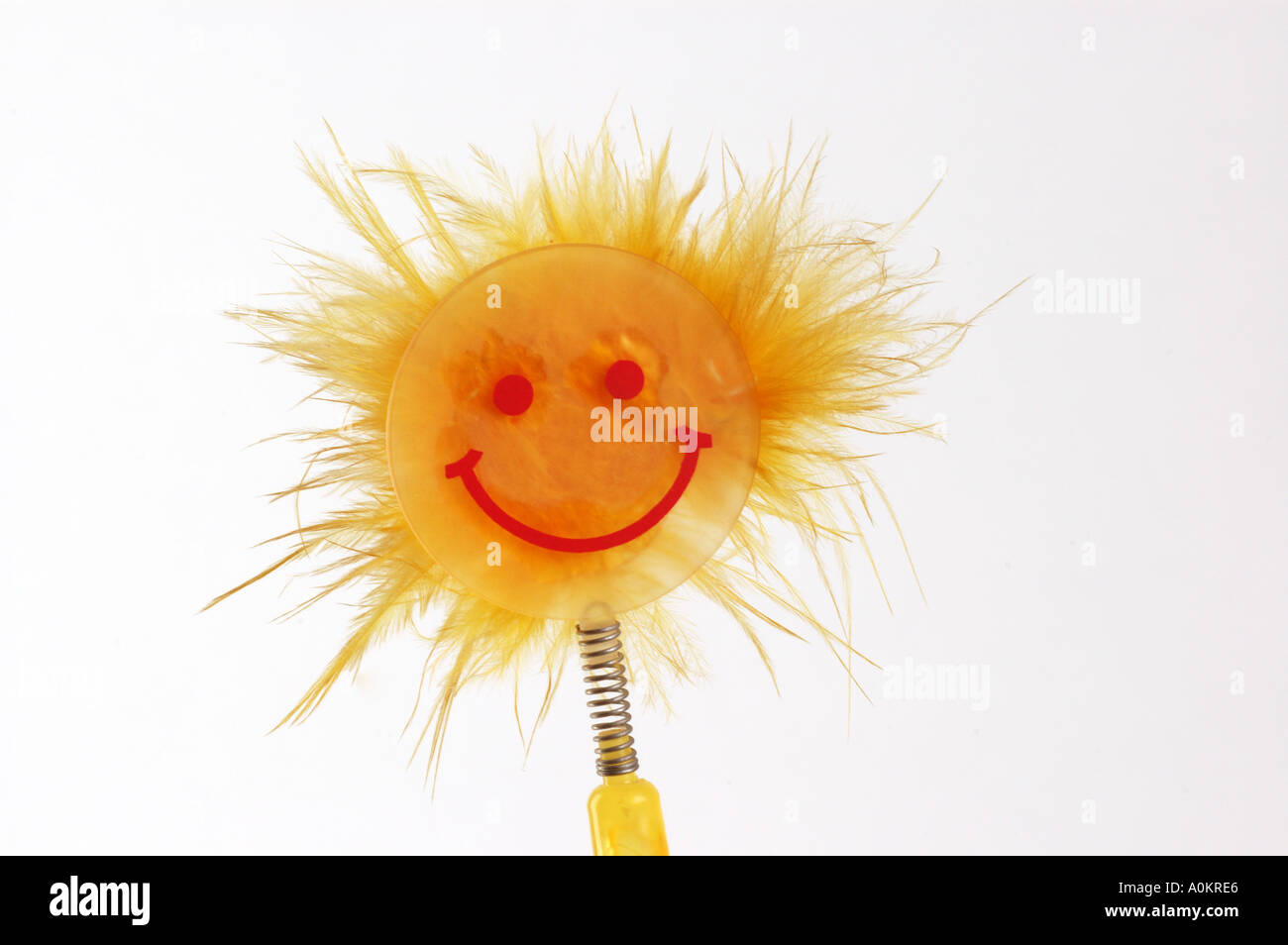 Happy Mr Smiley face pen top with fuzzy feather hair dsca 0230 Stock ...