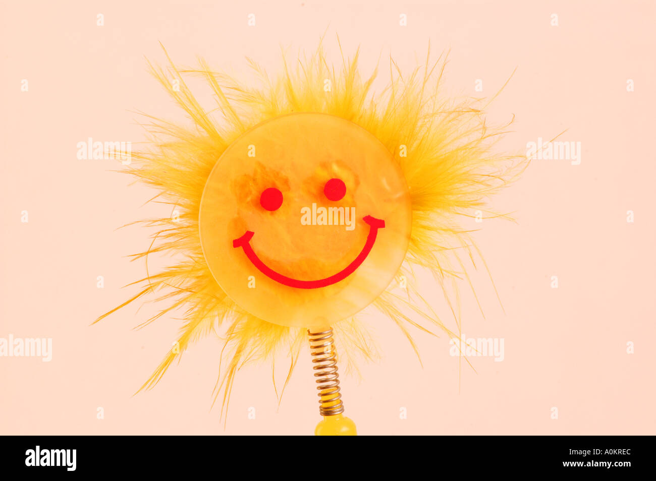 Happy Mr Smiley face pen top with fuzzy feather hair dsca 0233 Stock ...