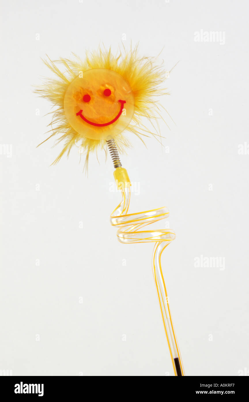 Happy Mr Smiley face pen top with fuzzy feather hair dsca 0239 Stock ...