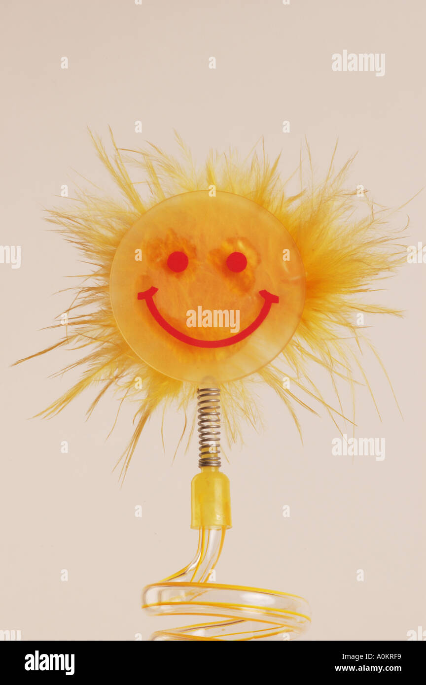 Happy Mr Smiley face pen top with fuzzy feather hair dsca 0240 Stock ...