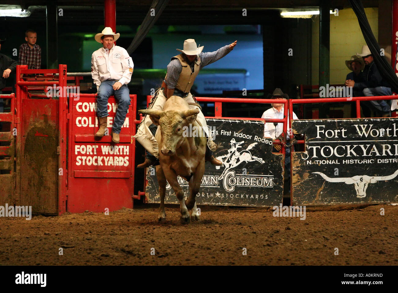 Bull riding at the Fort Worth Rodeo Stock Photo - Alamy