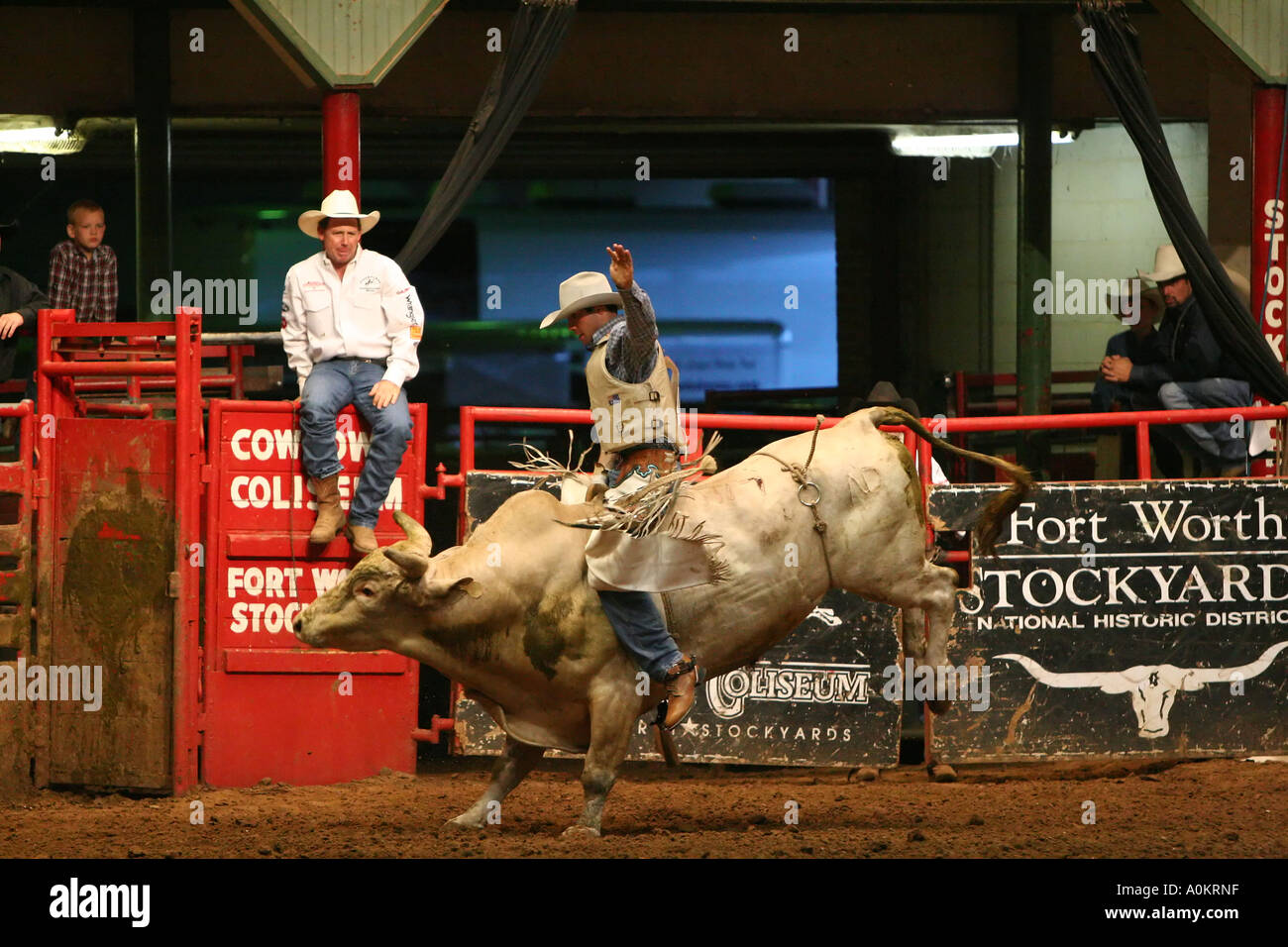 Bull riding fort worth hi-res stock photography and images - Alamy