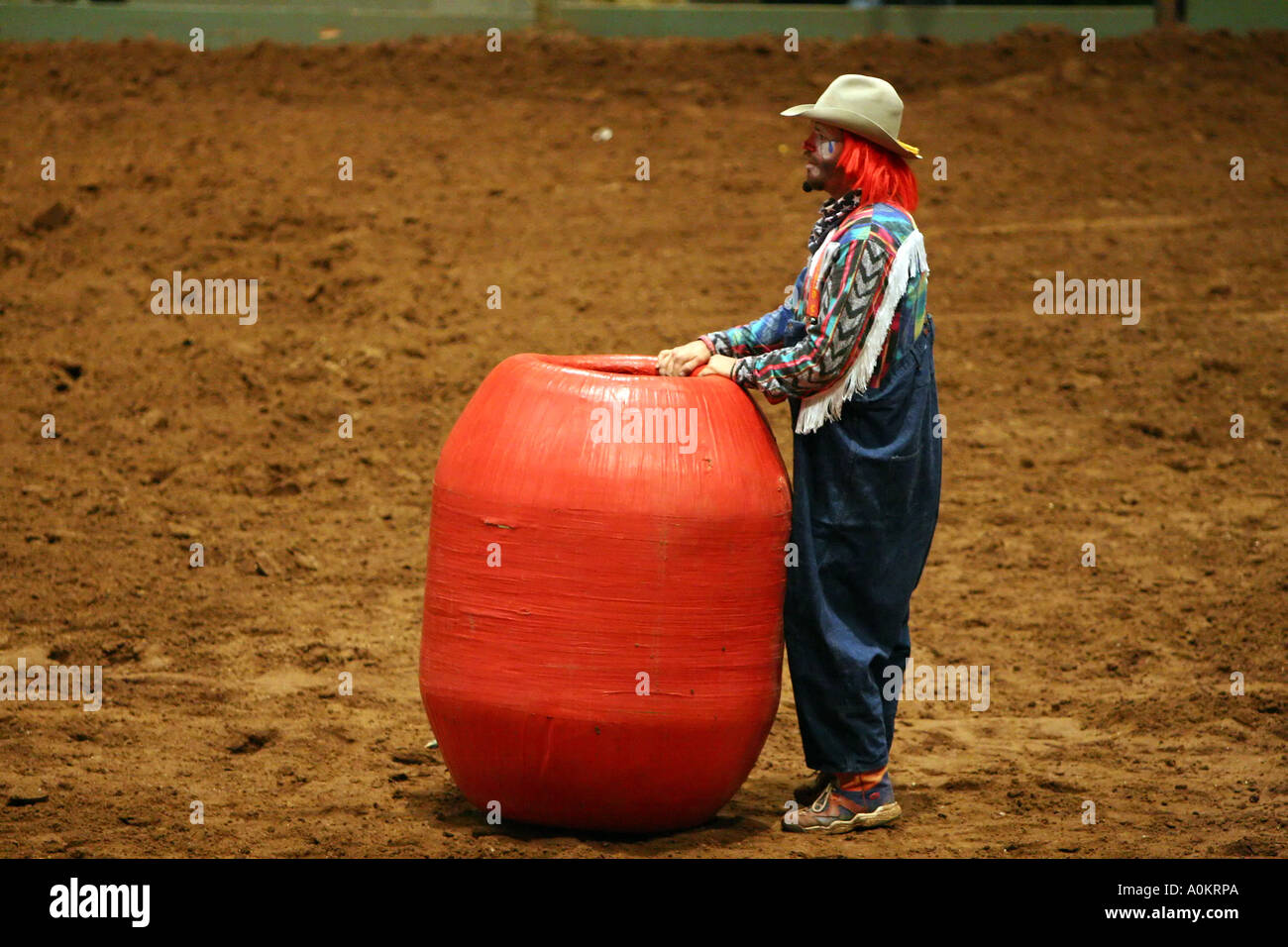 Rodeo clown standing behind a barrel to protect him from the bull Stock ...
