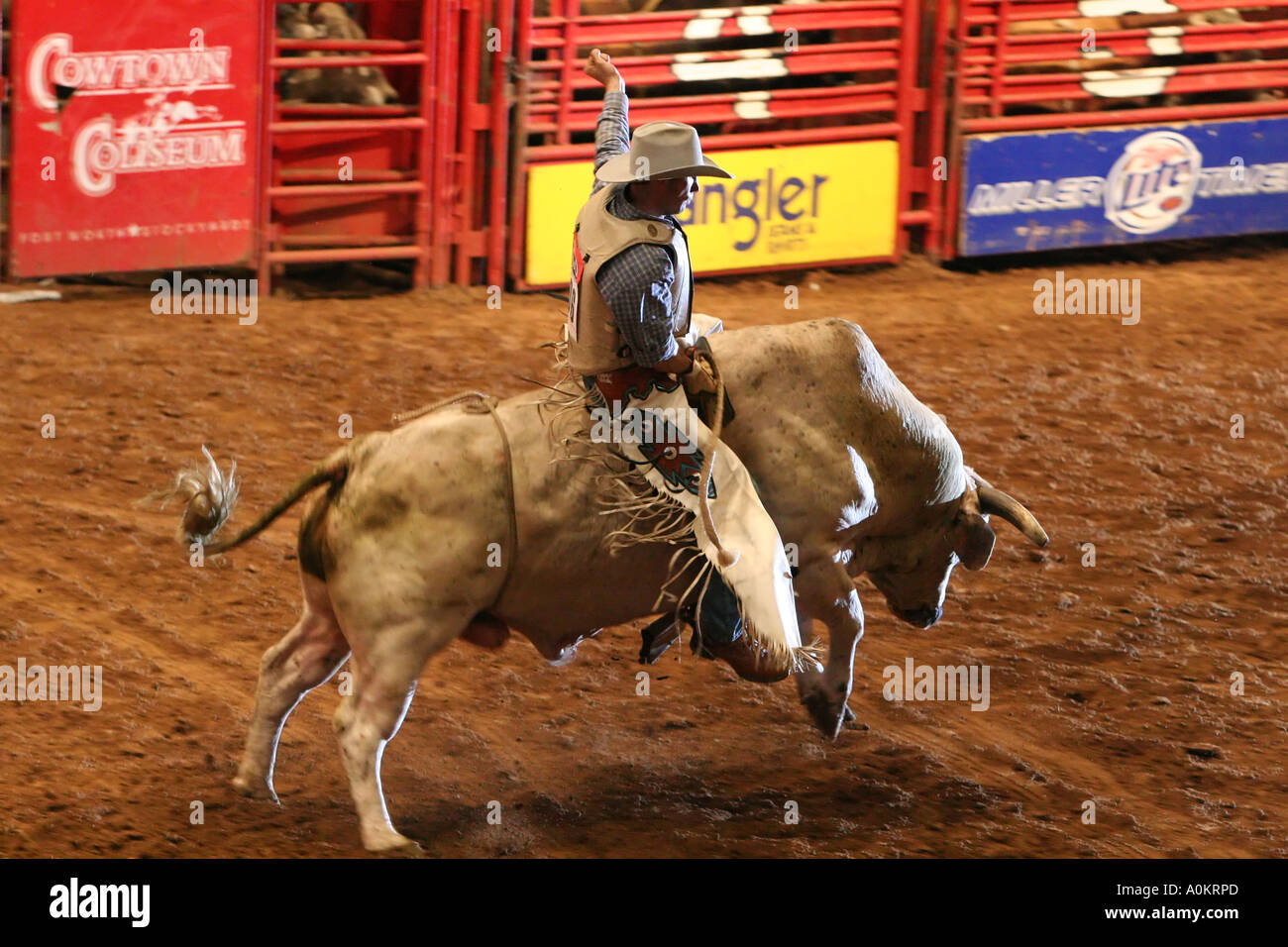Rodeo cowboy rides a bucking bull Stock Photo - Alamy