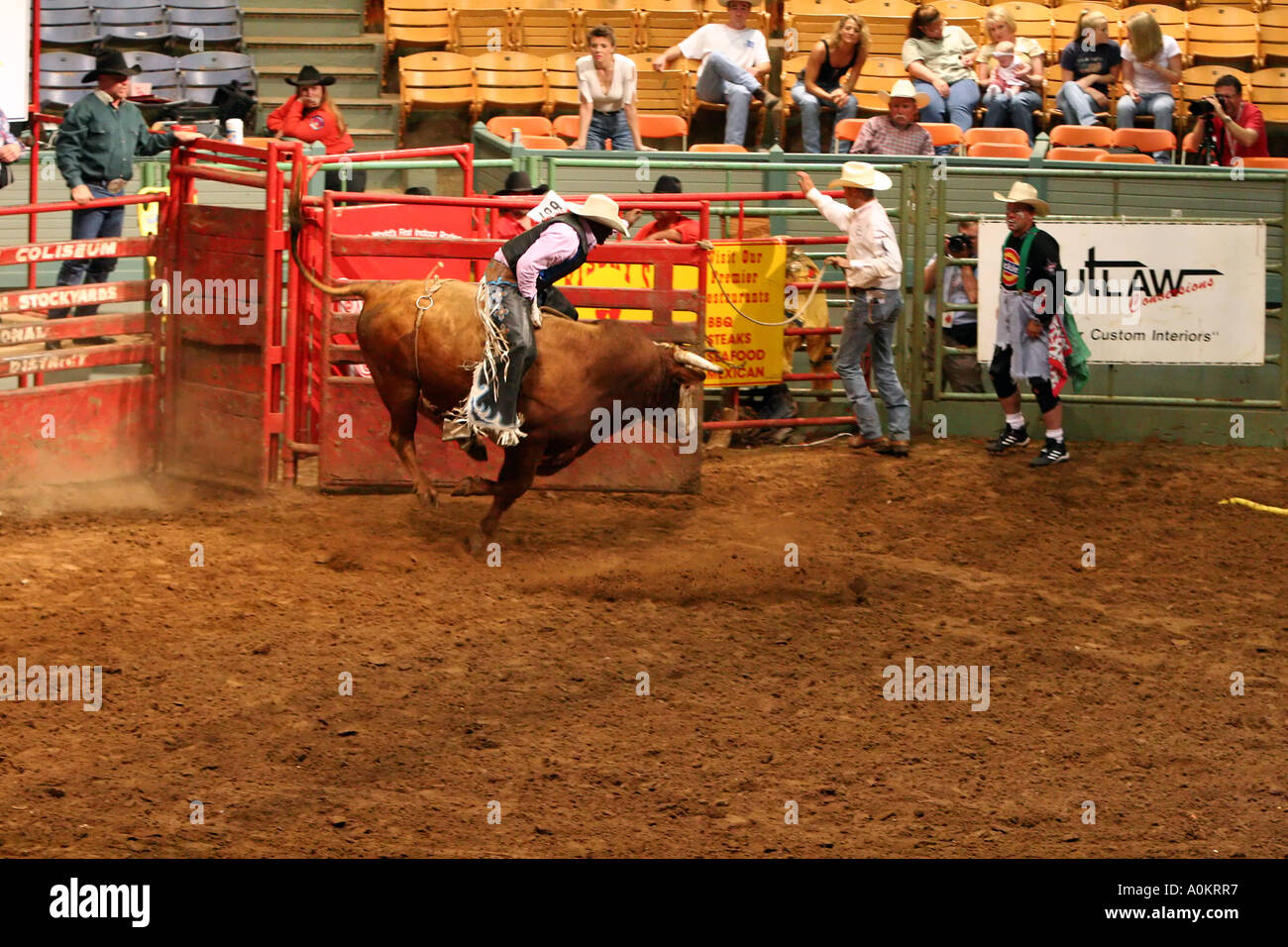 Bull rider at a rodeo Stock Photo - Alamy