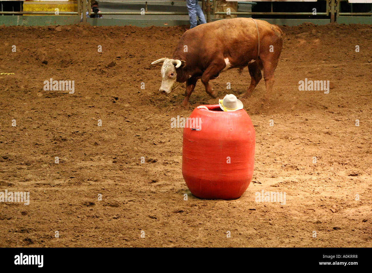 A rodeo bull paws the ground while eyeing a rodeo clown in a protective ...