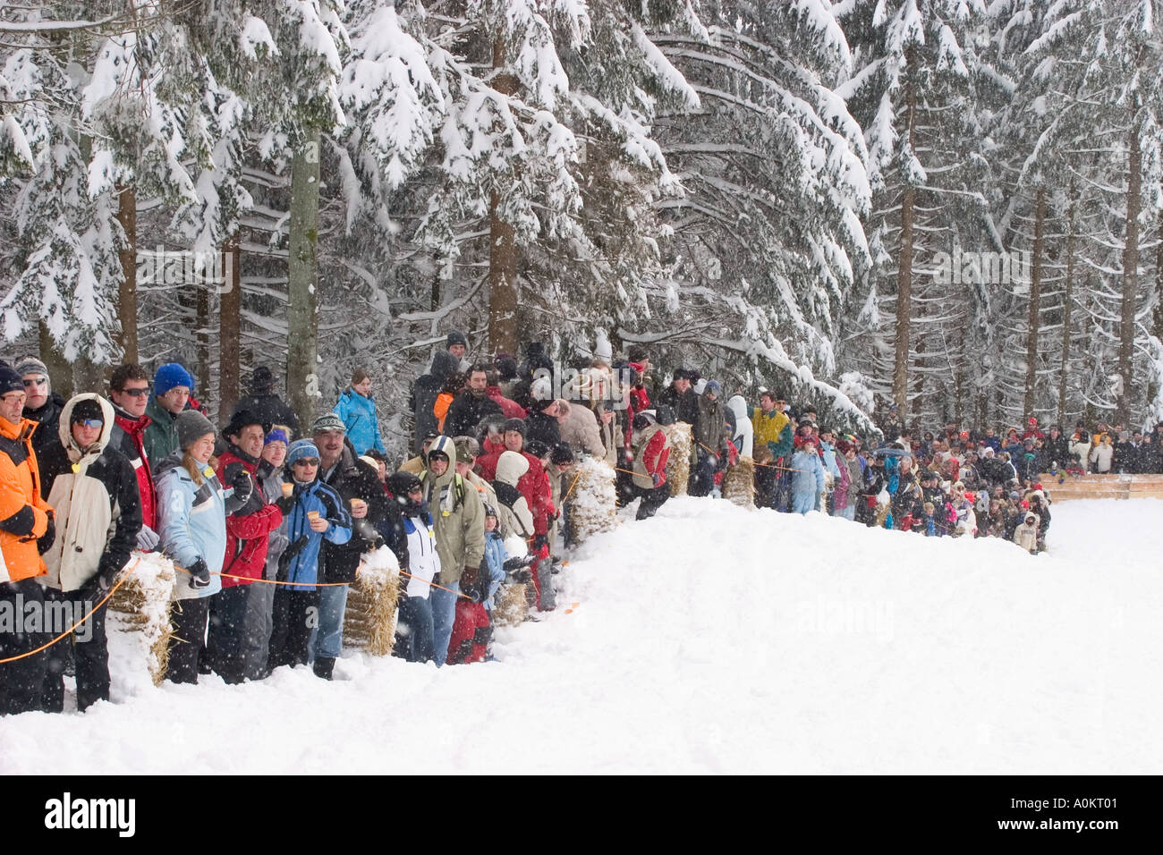Traditional sledge race Black Forest Germany Stock Photo - Alamy