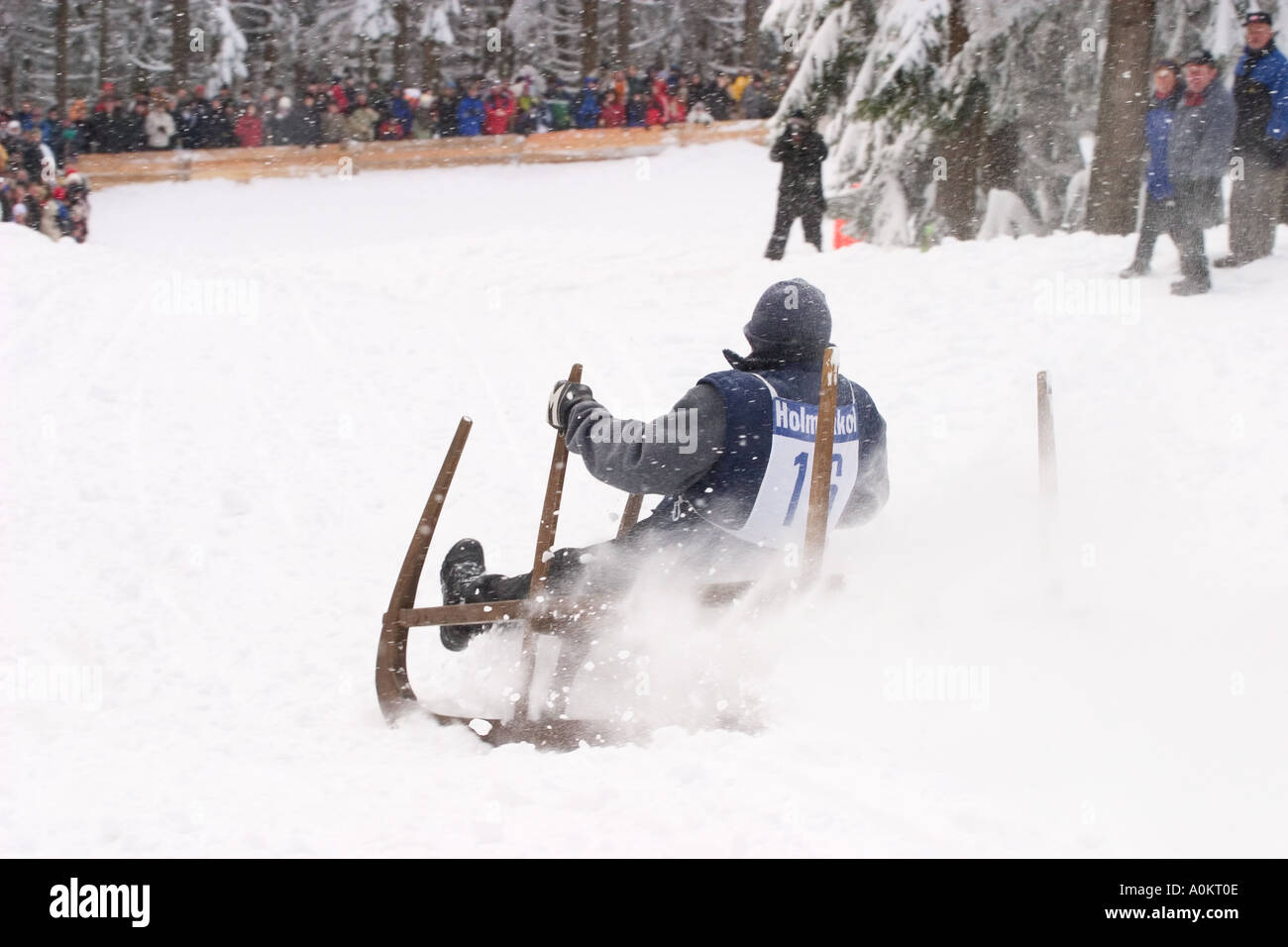 Traditional sledge race Black Forest Germany Stock Photo - Alamy