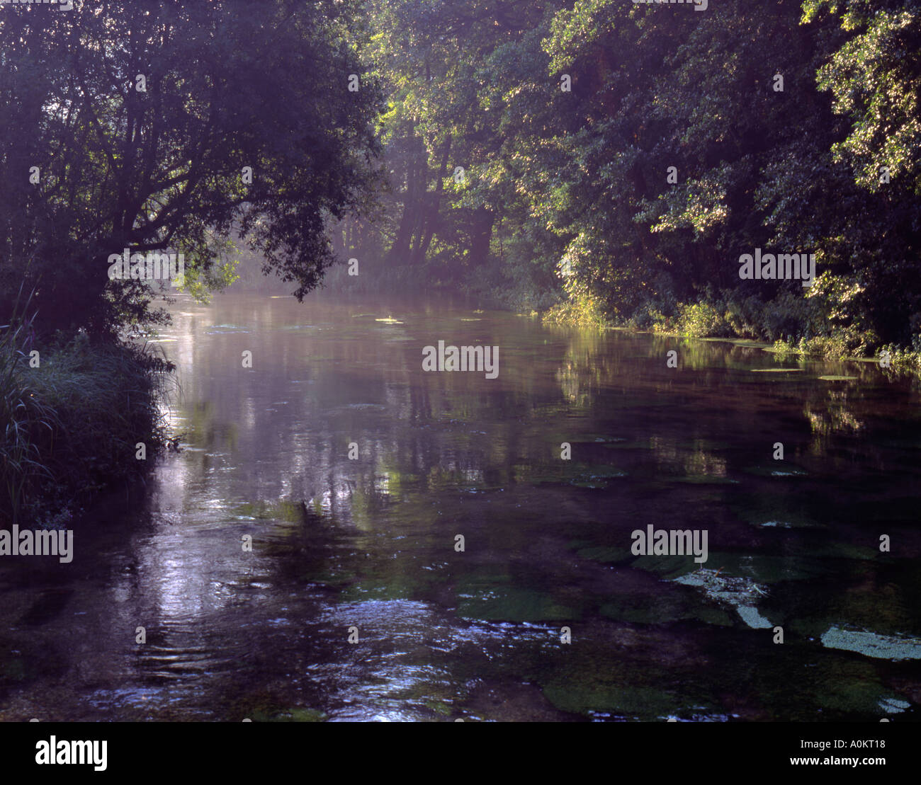 The chalk streams of hampshire hi-res stock photography and images - Alamy