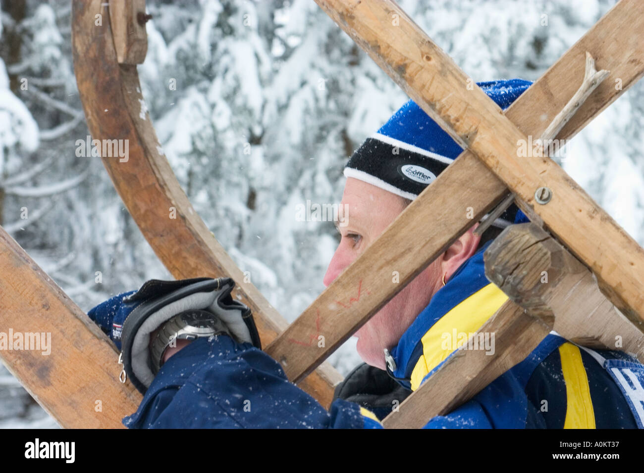 Traditional sledge race Black Forest Germany Stock Photo - Alamy