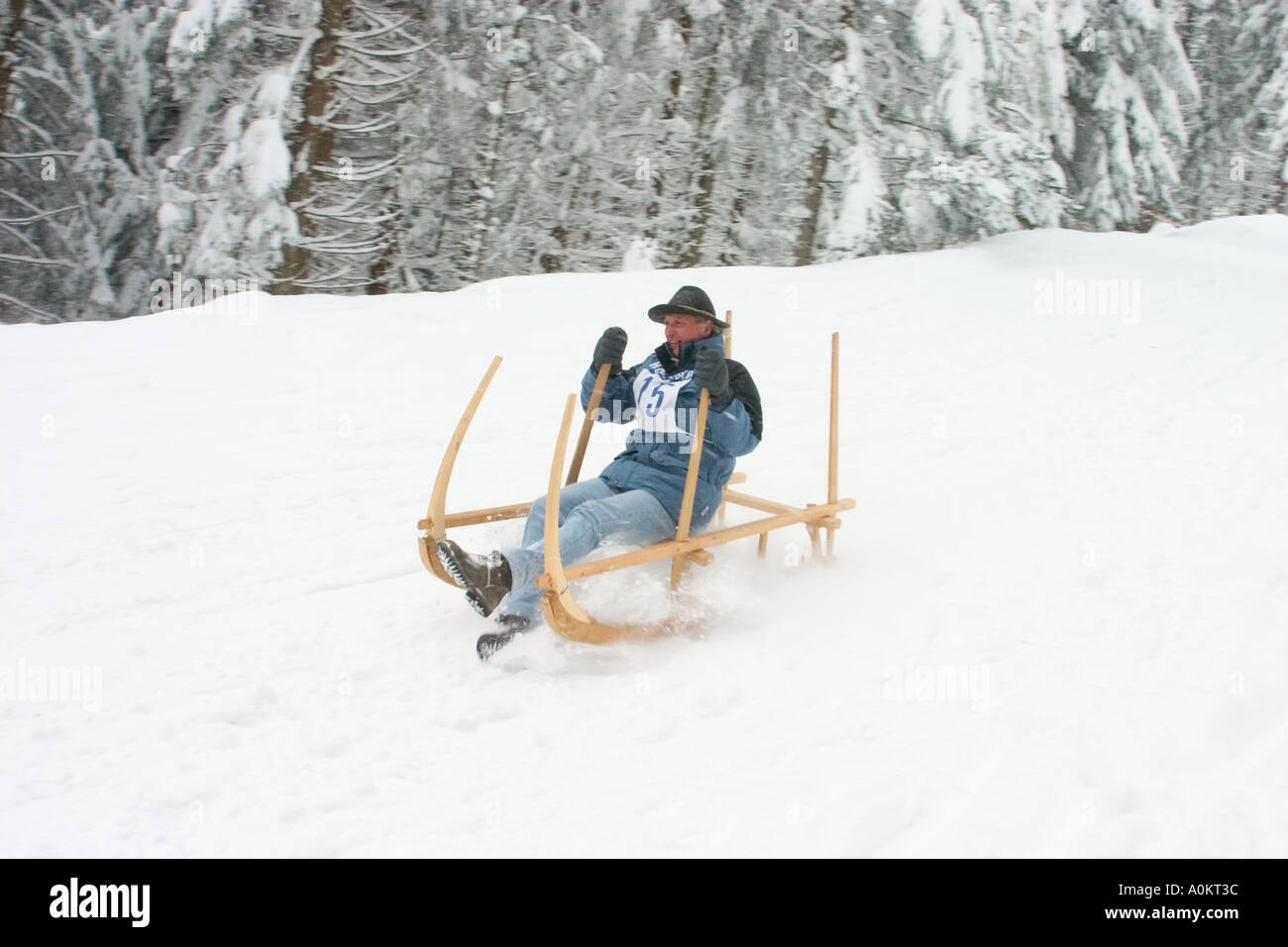 Traditional sledge race Black Forest Germany Stock Photo - Alamy