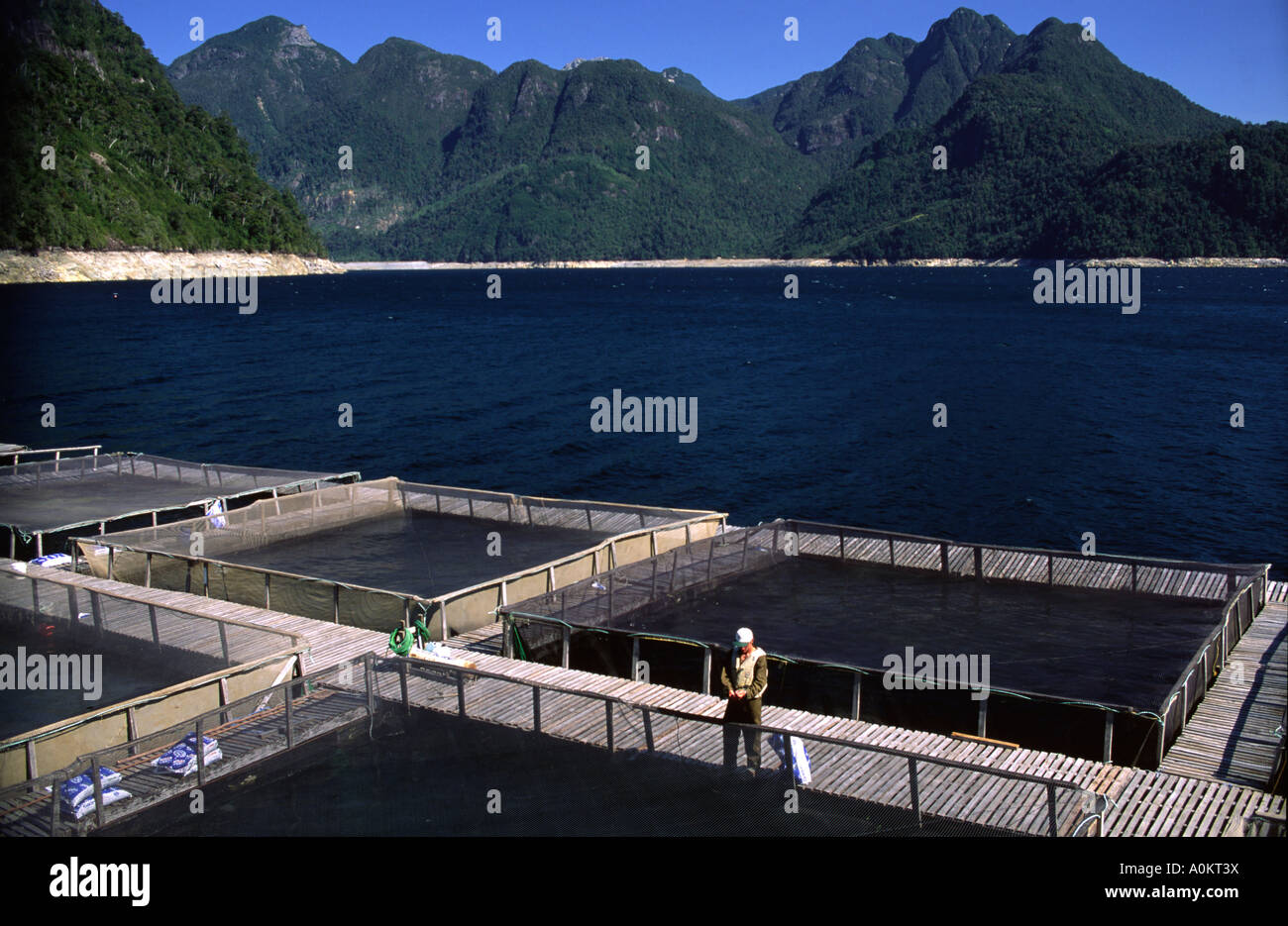 Sustainable Farming Chile High Resolution Stock Photography and Images ...