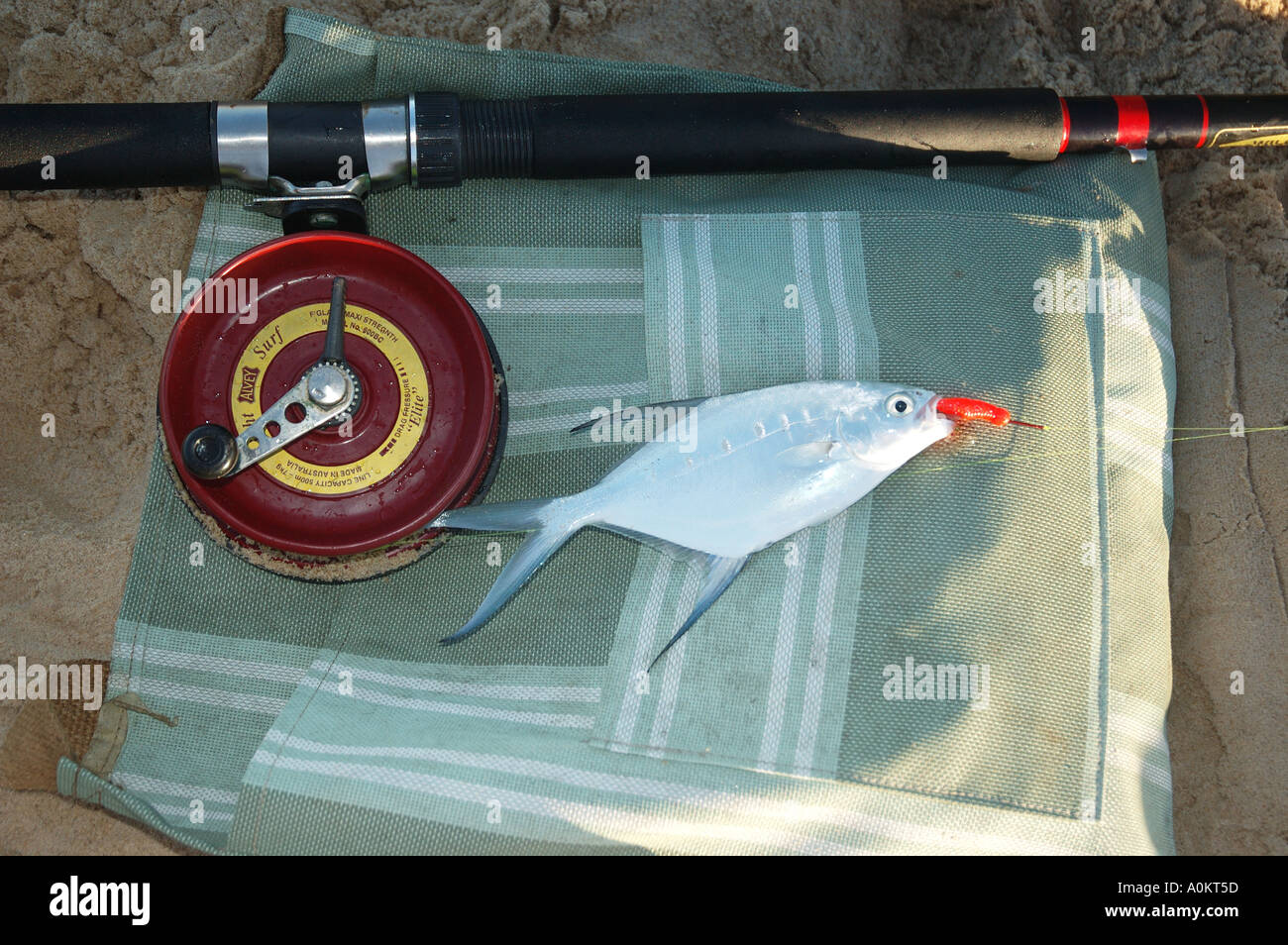 Alvey reel hi-res stock photography and images - Alamy