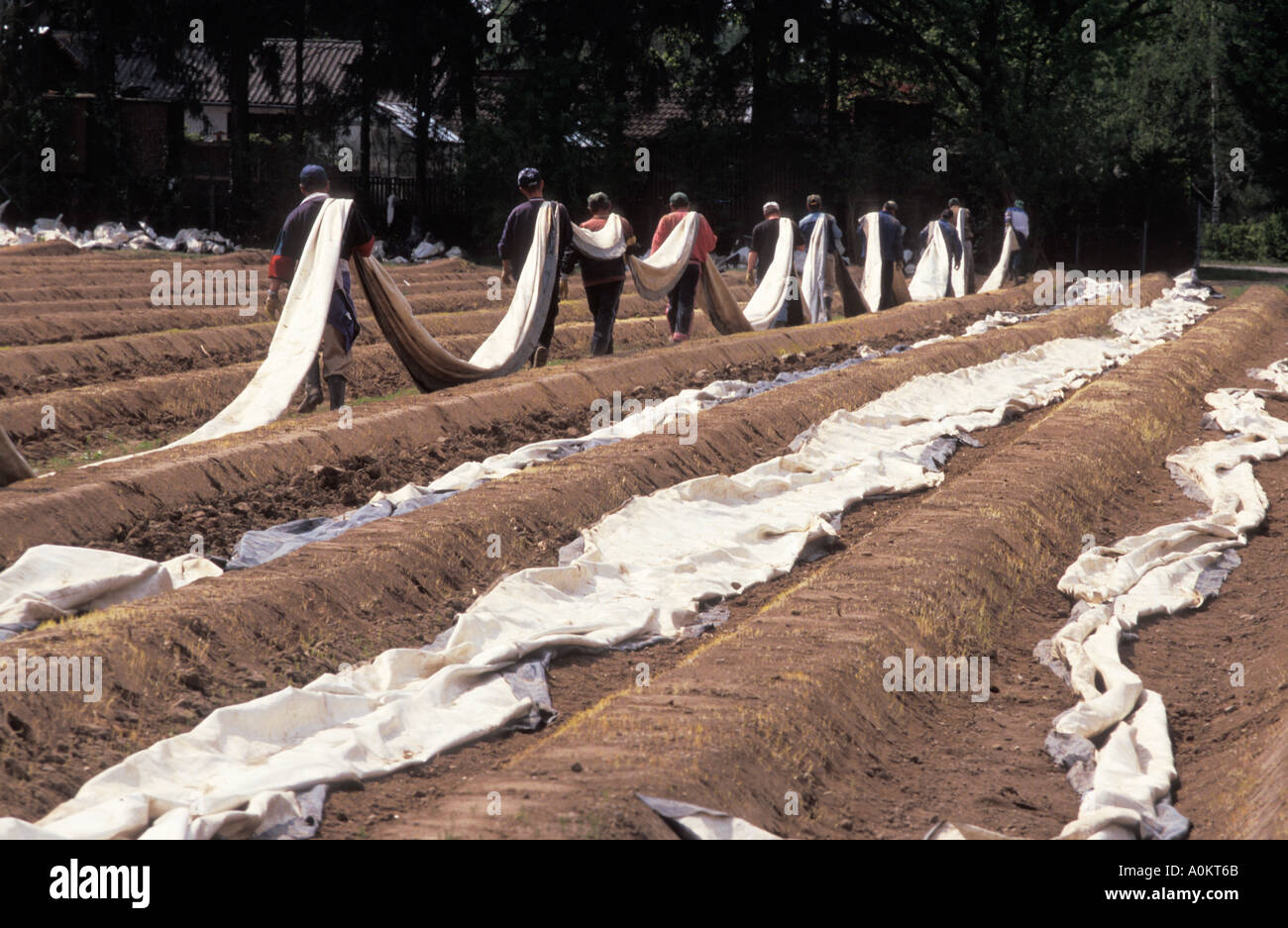 Polish workers germany hi-res stock photography and images - Alamy