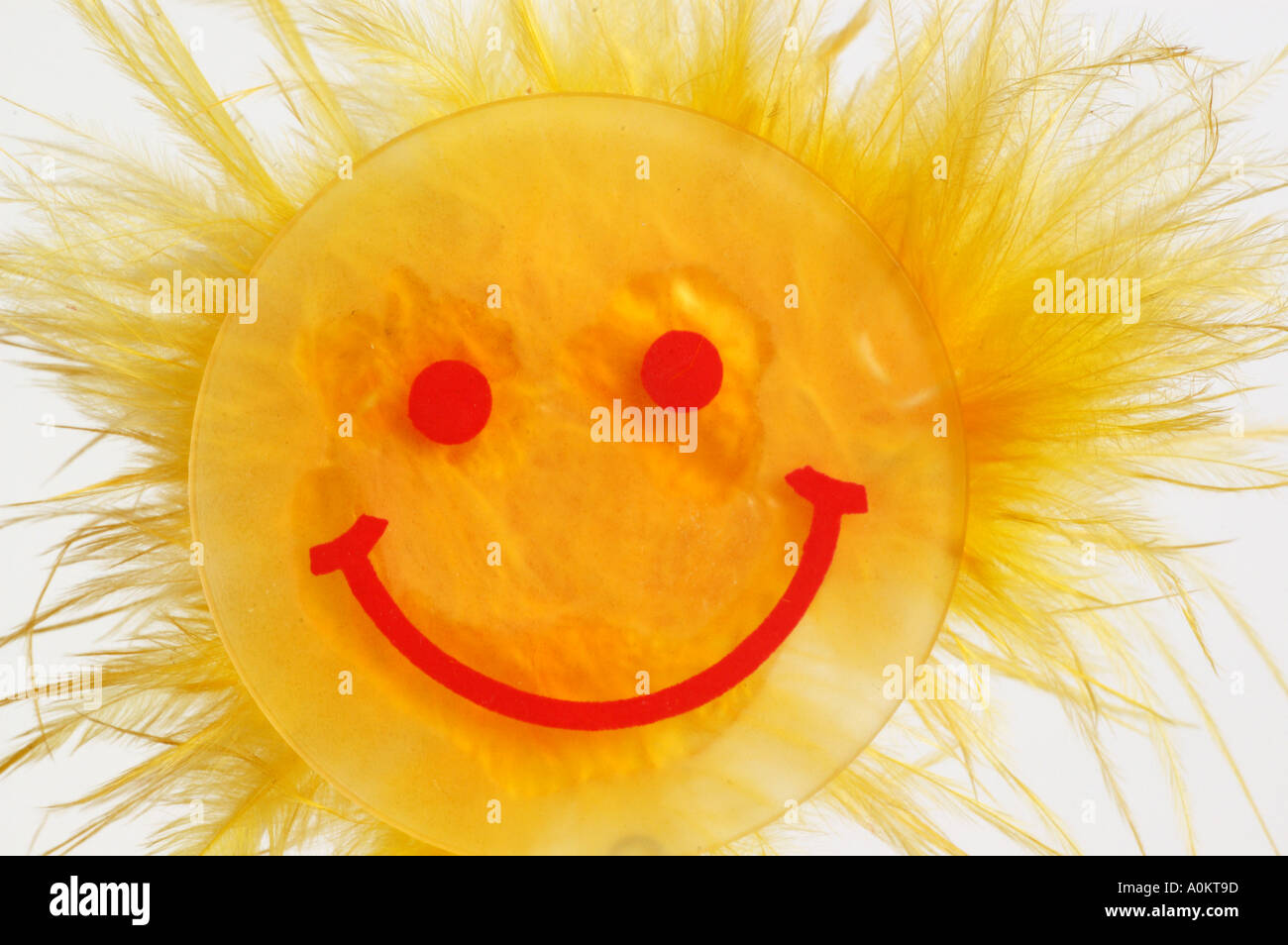 Happy Mr Smiley face pen top with fuzzy feather hair dsca 0243 Stock ...