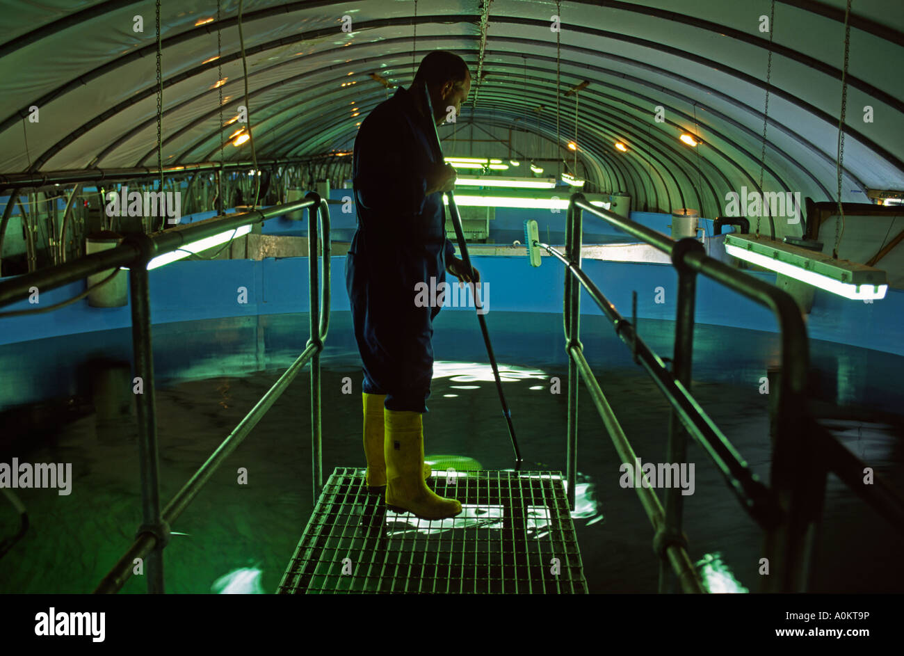 Smolt coast uk hi-res stock photography and images - Alamy