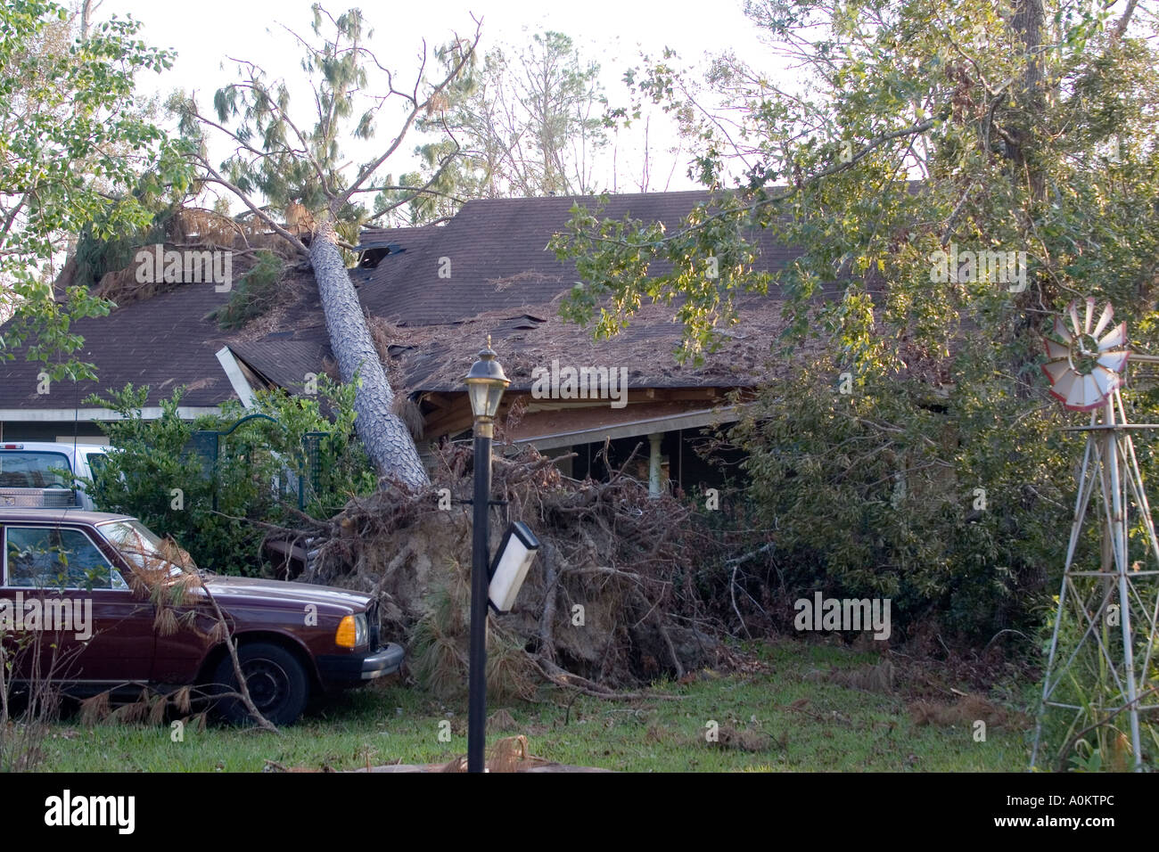 Trees on a house after Hurricane Katrina Stock Photo - Alamy