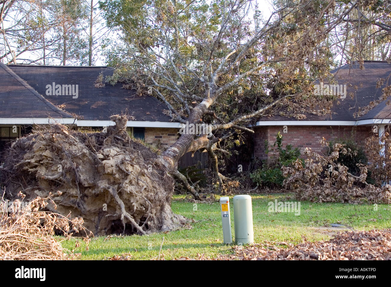 Tree on a house after Hurricane Katrina Stock Photo - Alamy