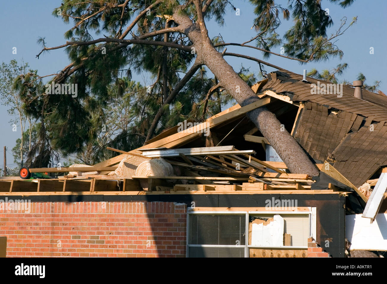 Tree through a roof after Hurricane Katrina Stock Photo - Alamy