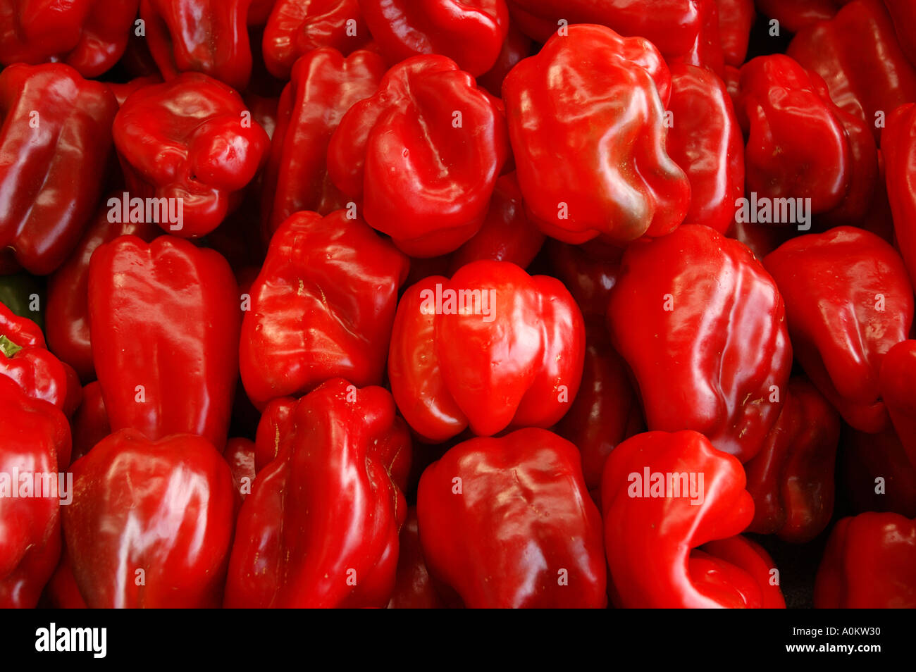 red peppers capiscum on display dsca 0466 Stock Photo - Alamy