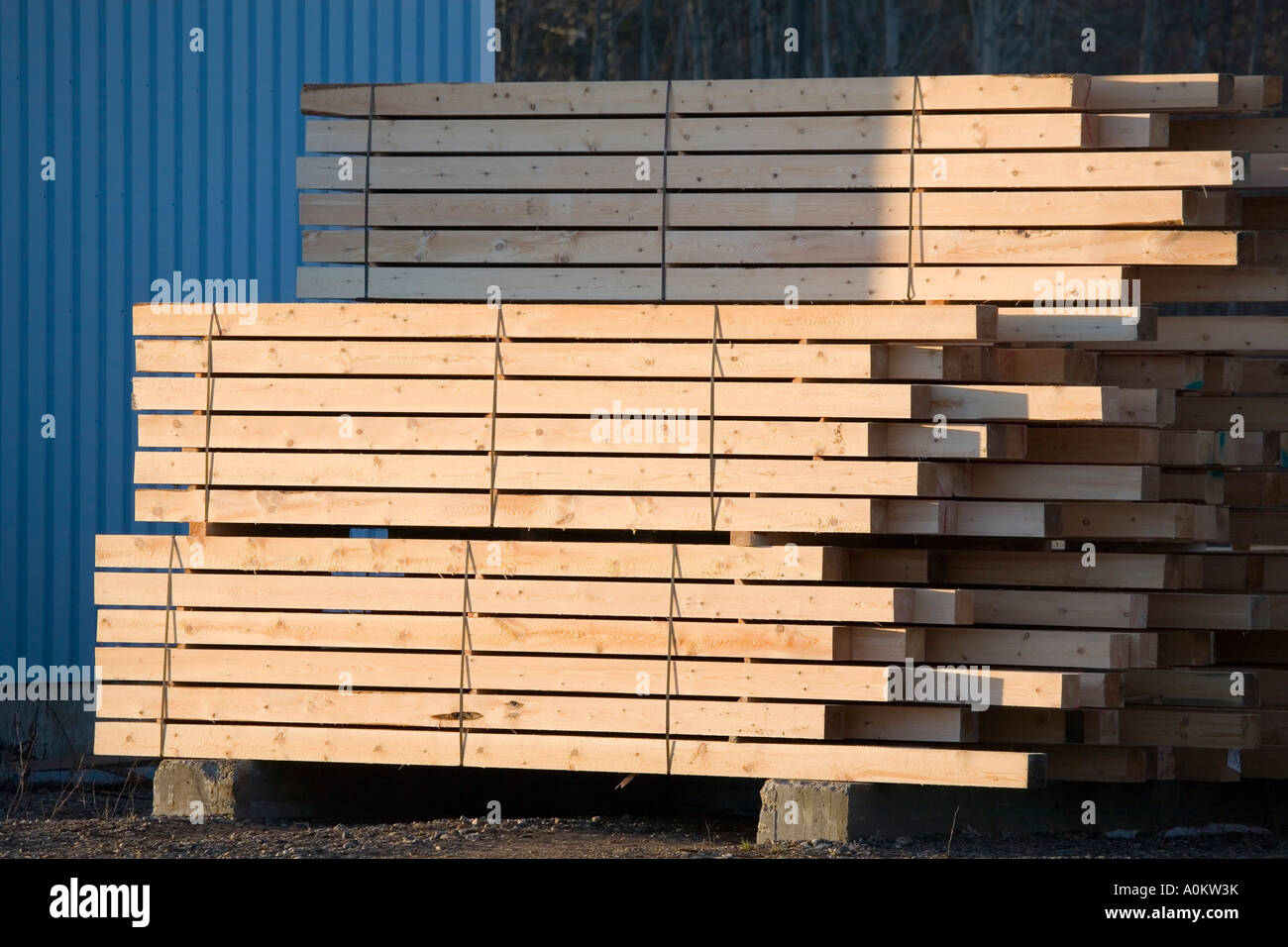 stacked timber, Finland Stock Photo - Alamy