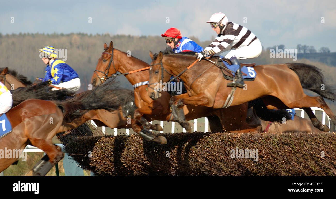 National Hunt horse race Stock Photo - Alamy