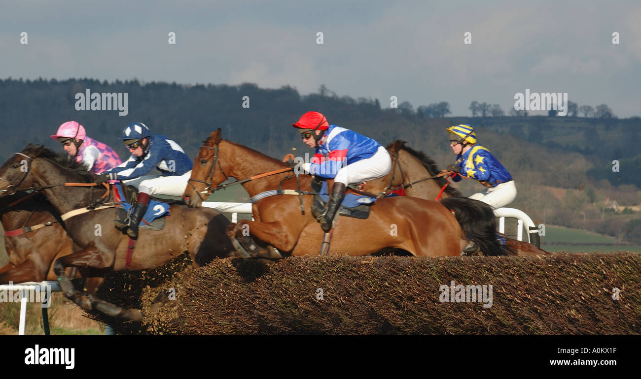 National Hunt horse race Stock Photo - Alamy