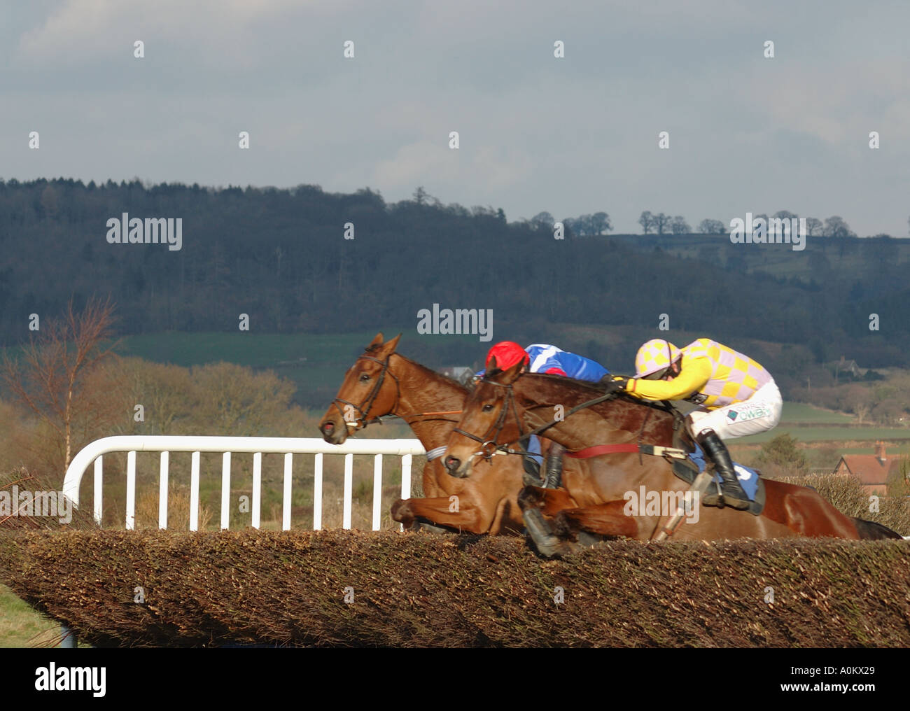 National Hunt horse race Stock Photo - Alamy