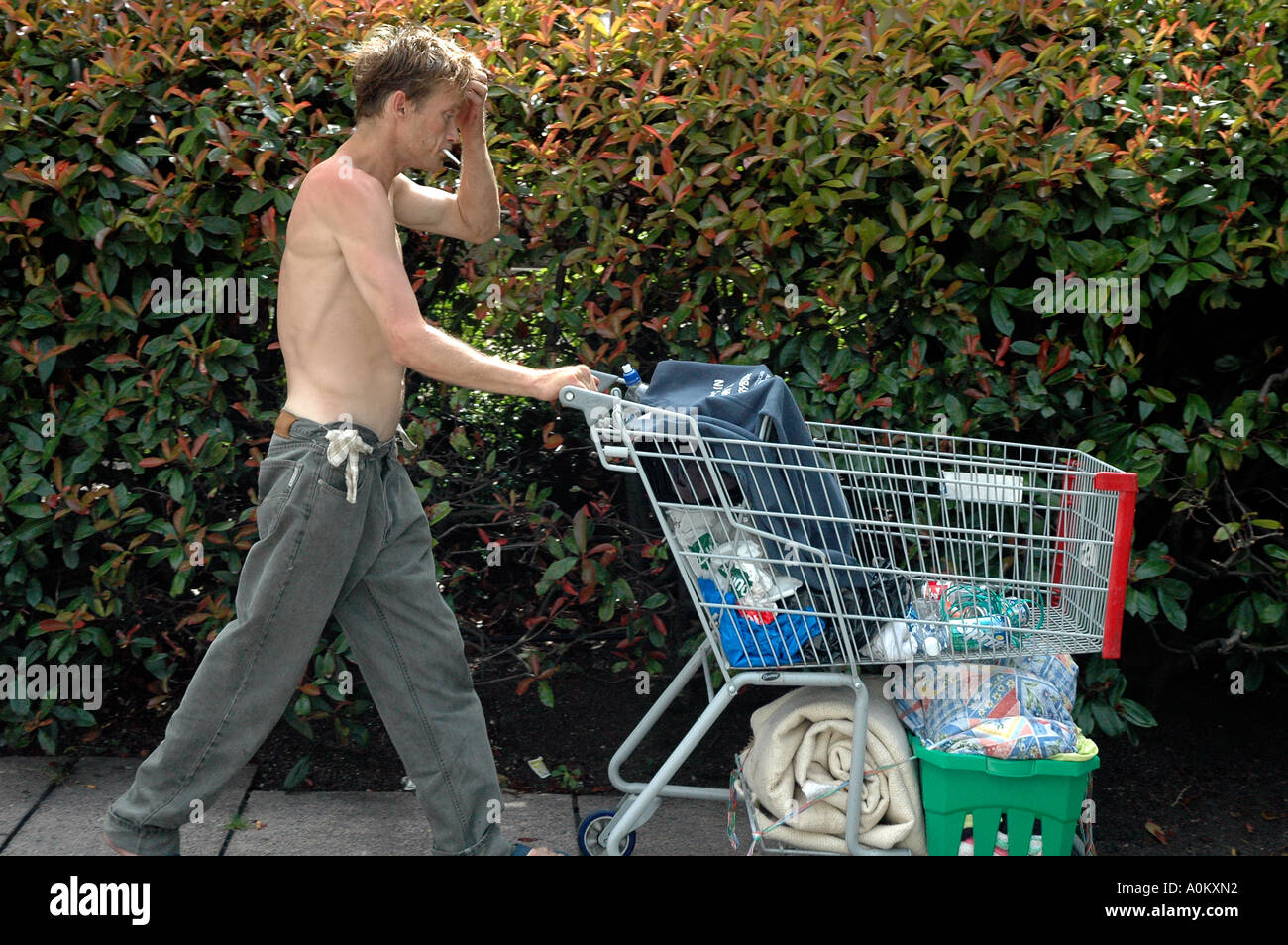 Scratch bum hi-res stock photography and images - Alamy