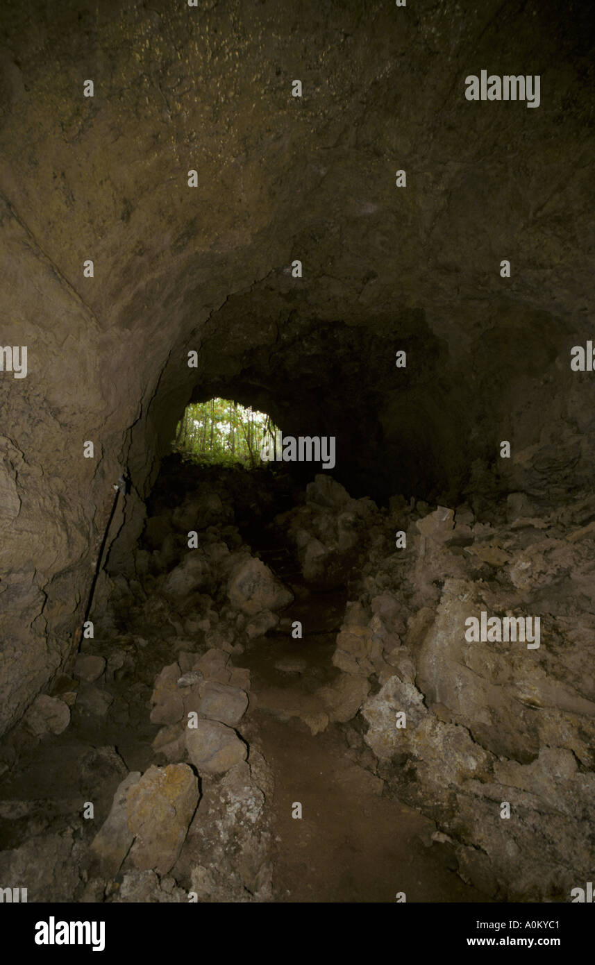 Galapagos Lava Tube Sierra Negra Galapagos Stock Photo - Alamy