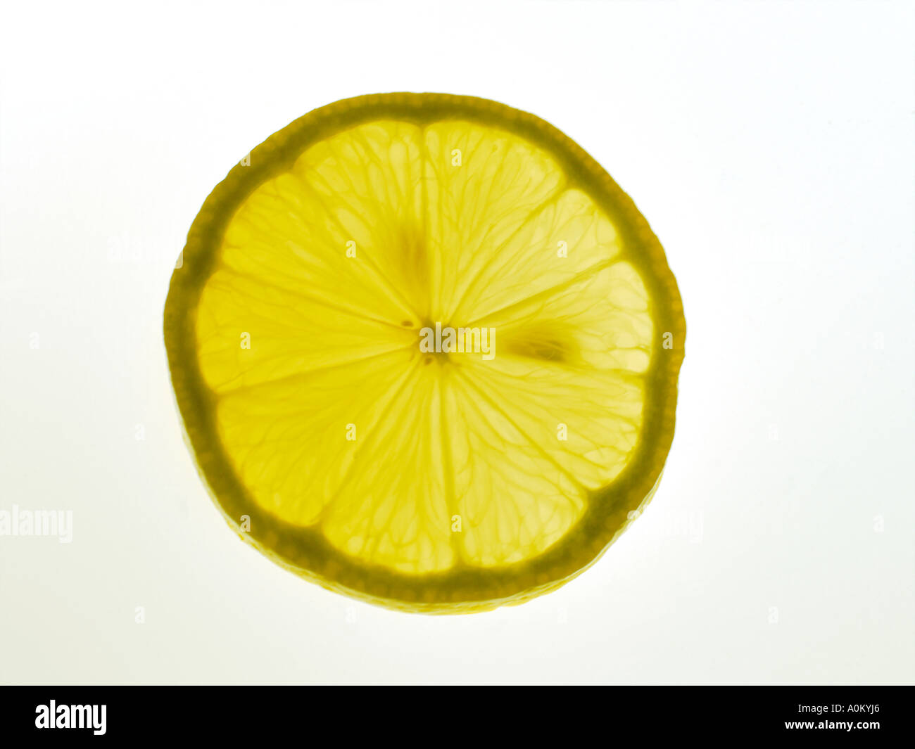 Slice lemon fruit on hi-res stock photography and images - Alamy