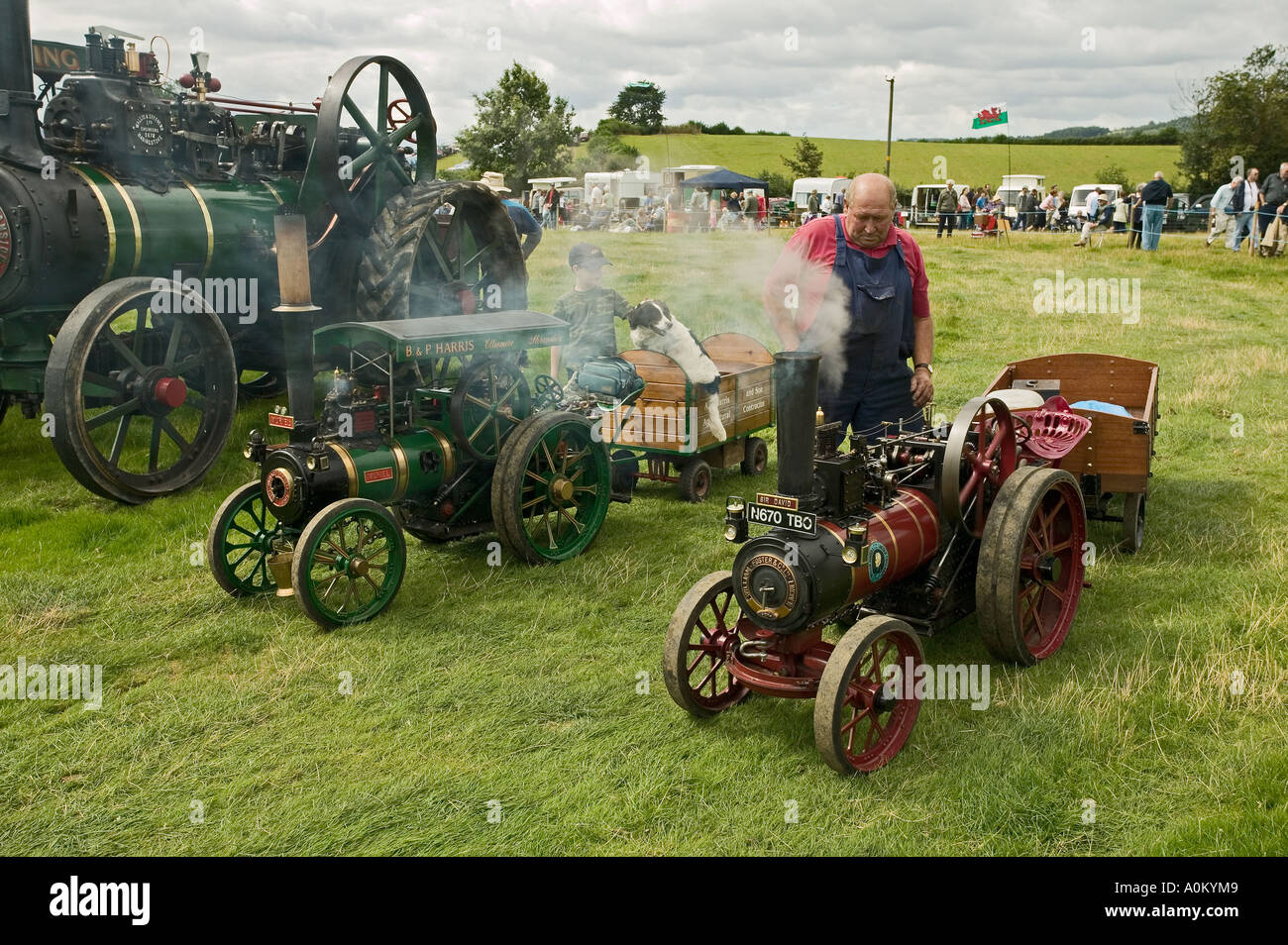 Miniature steam traction engines Stock Photo - Alamy