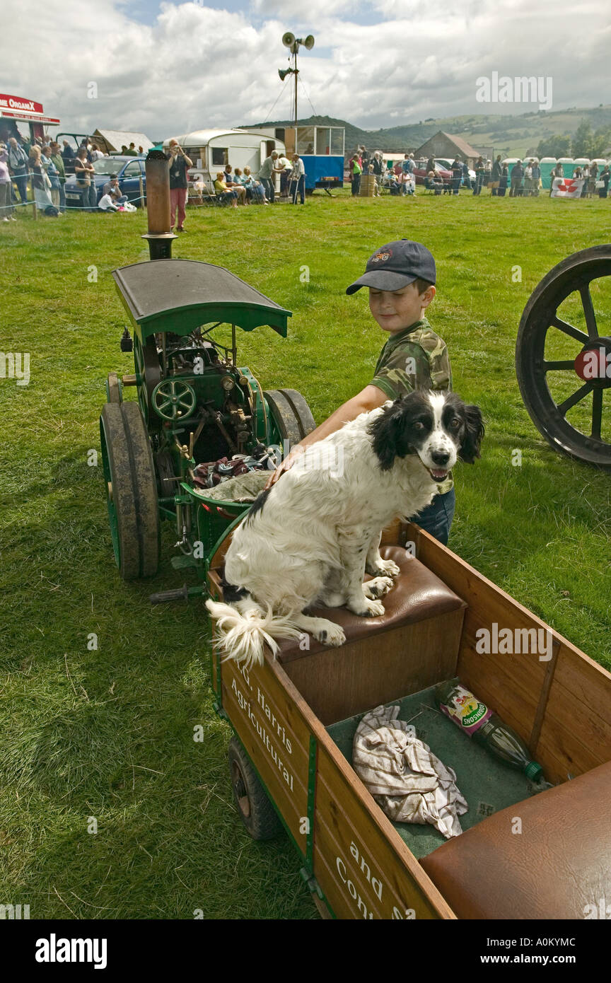Boy with dog in cart and model traction engine Stock Photo - Alamy