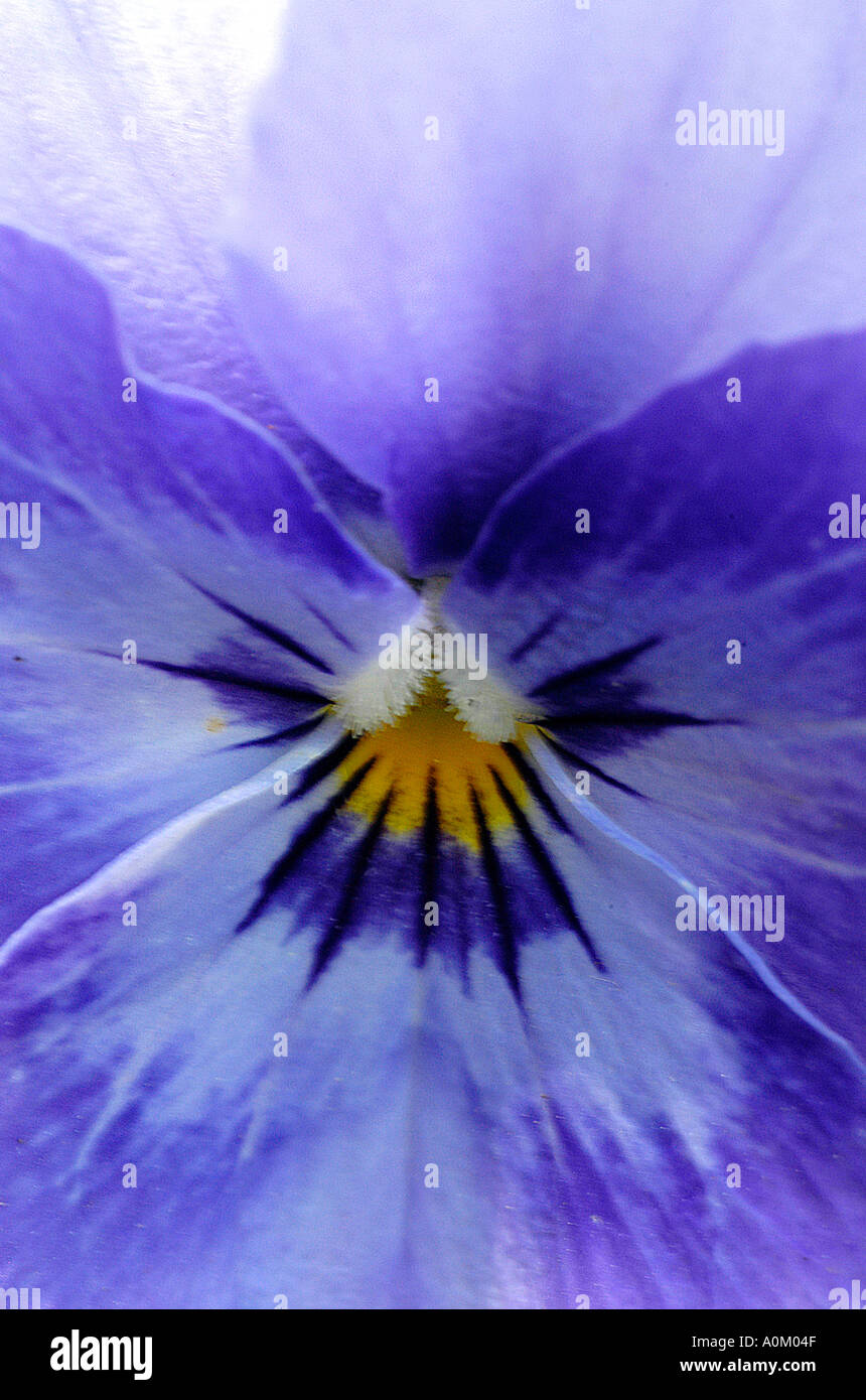 Close allover pattern hi-res stock photography and images - Alamy