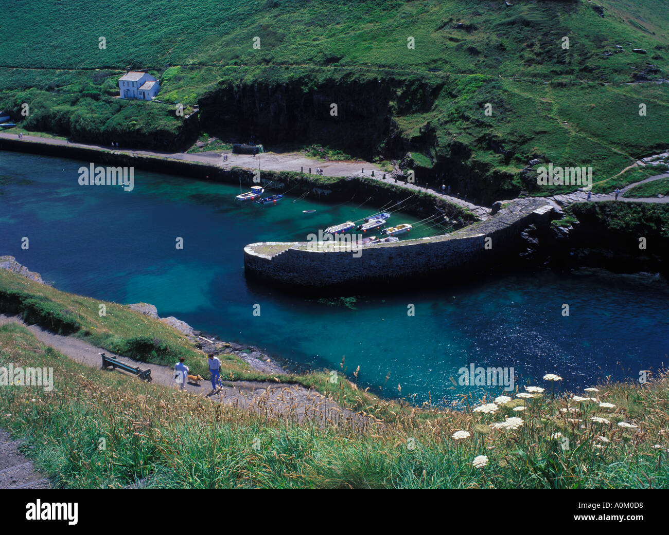 Boscastle harbour Cornwall England UK Stock Photo - Alamy