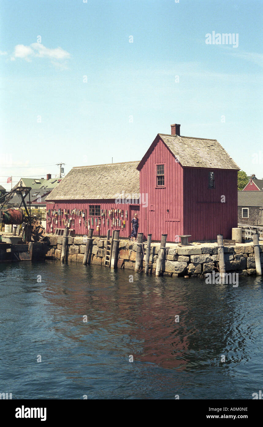 Massachusetts colony fish hi-res stock photography and images - Alamy