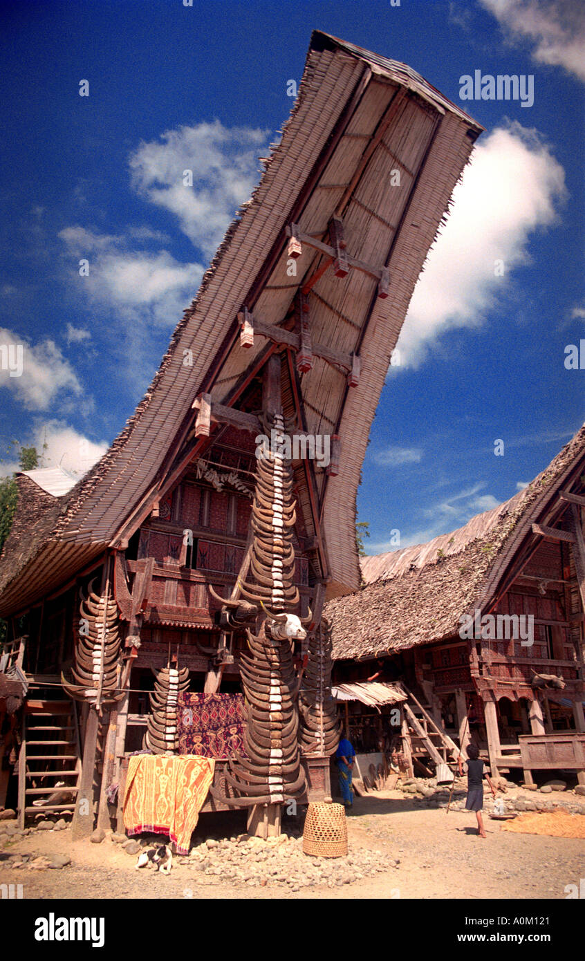 A traditional house in Tana Toraja Torajaland Sulawesi Indonesia Stock ...