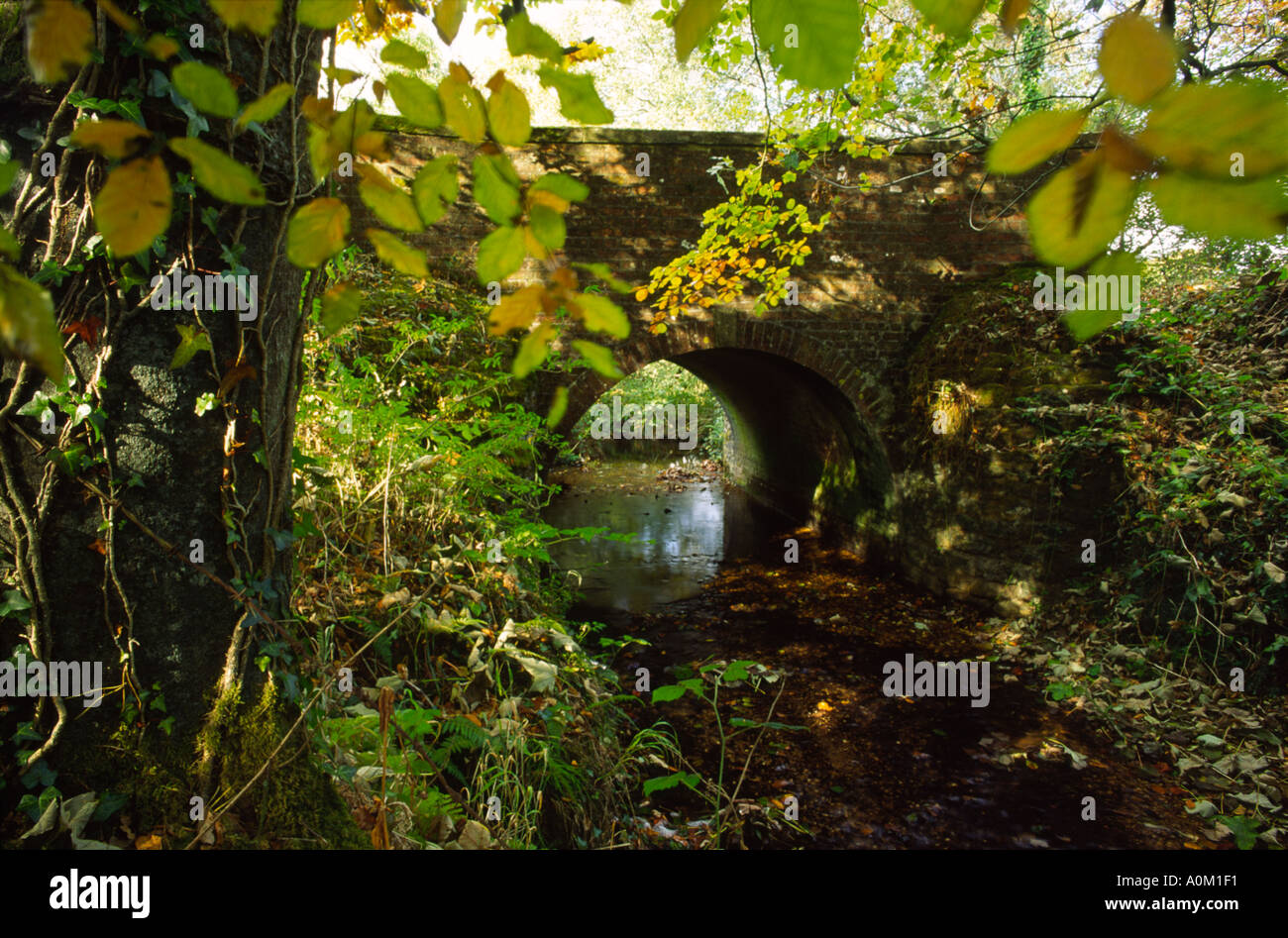 Looking Through The Arch Of A Dorset River Bridge Stock Photo - Alamy