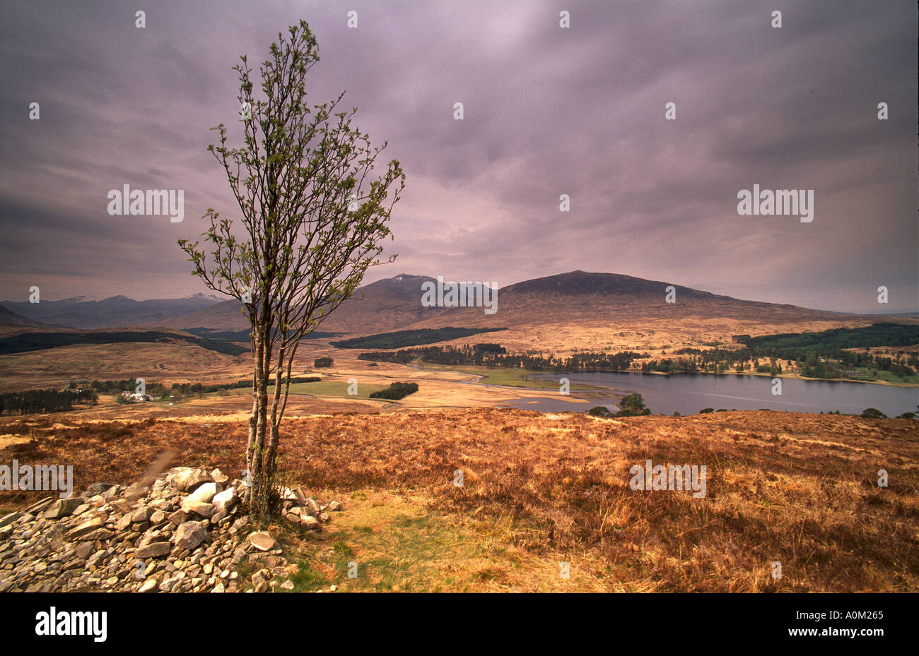 Scottish Landscape Study Stock Photo - Alamy